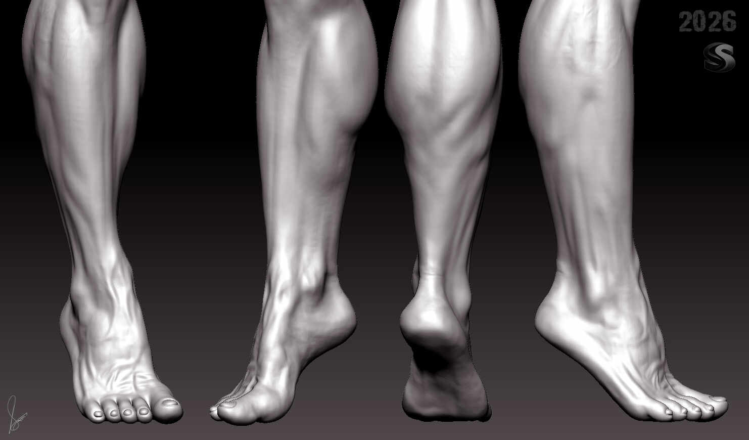 Study of Intricate structure of the human leg - ZBrushCentral