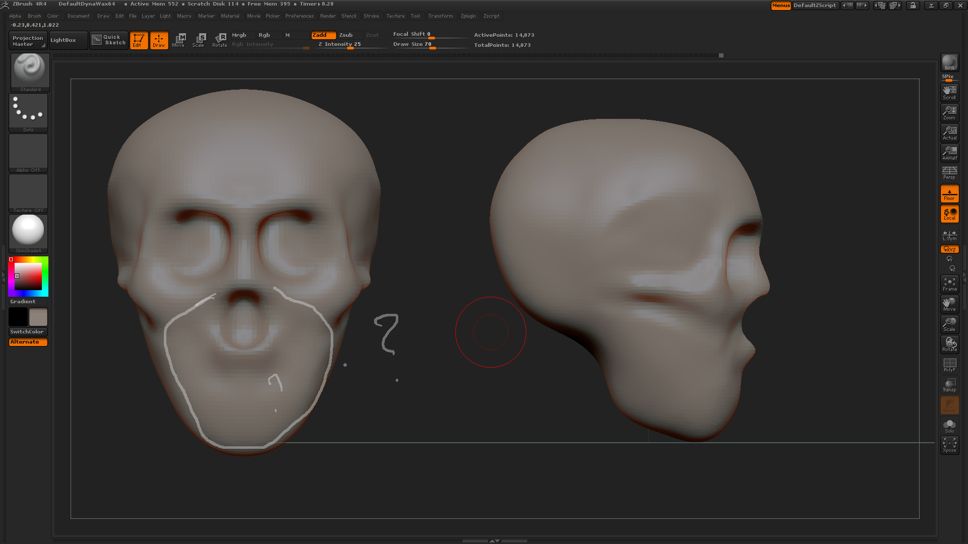 Learning Anatomy: Skull attemt - ZBrushCentral