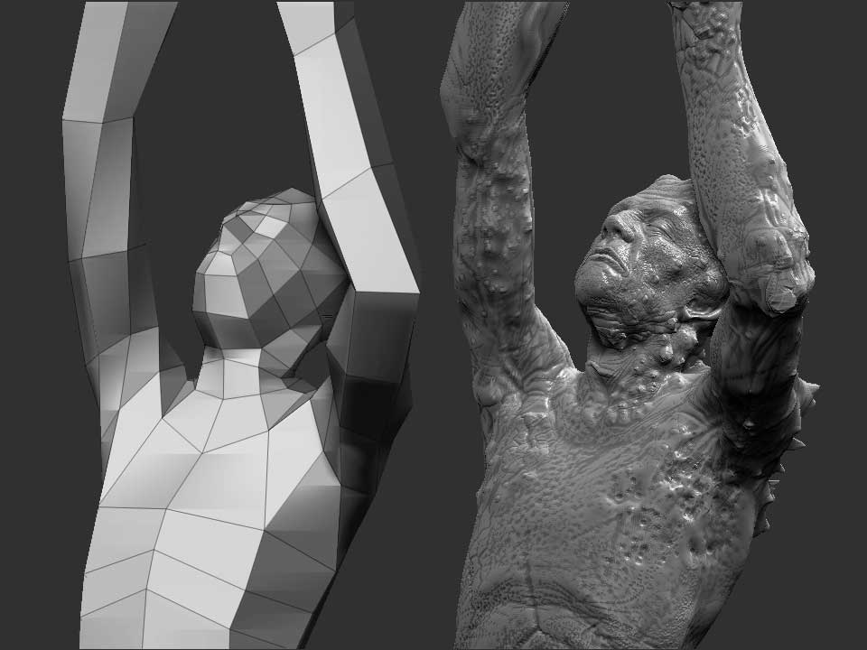 Anatomy exercises - ZBrushCentral