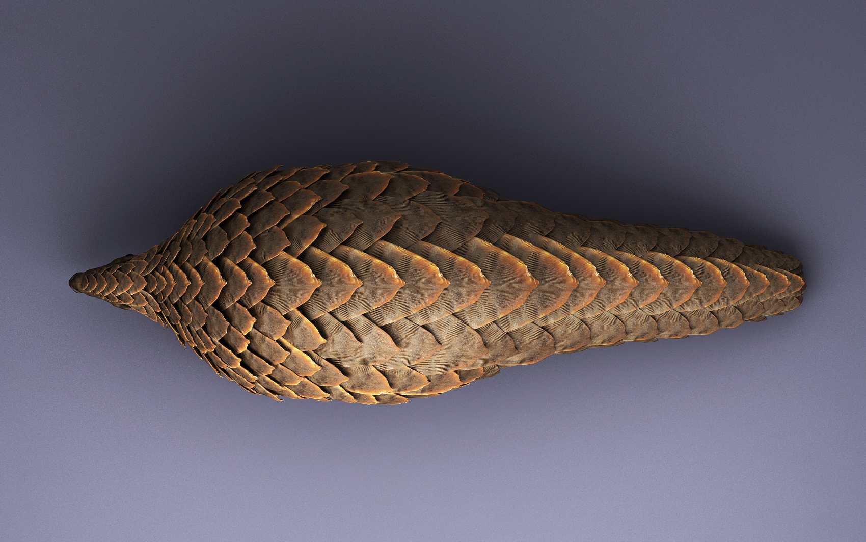 Pangolin - CGI - ZBrushCentral