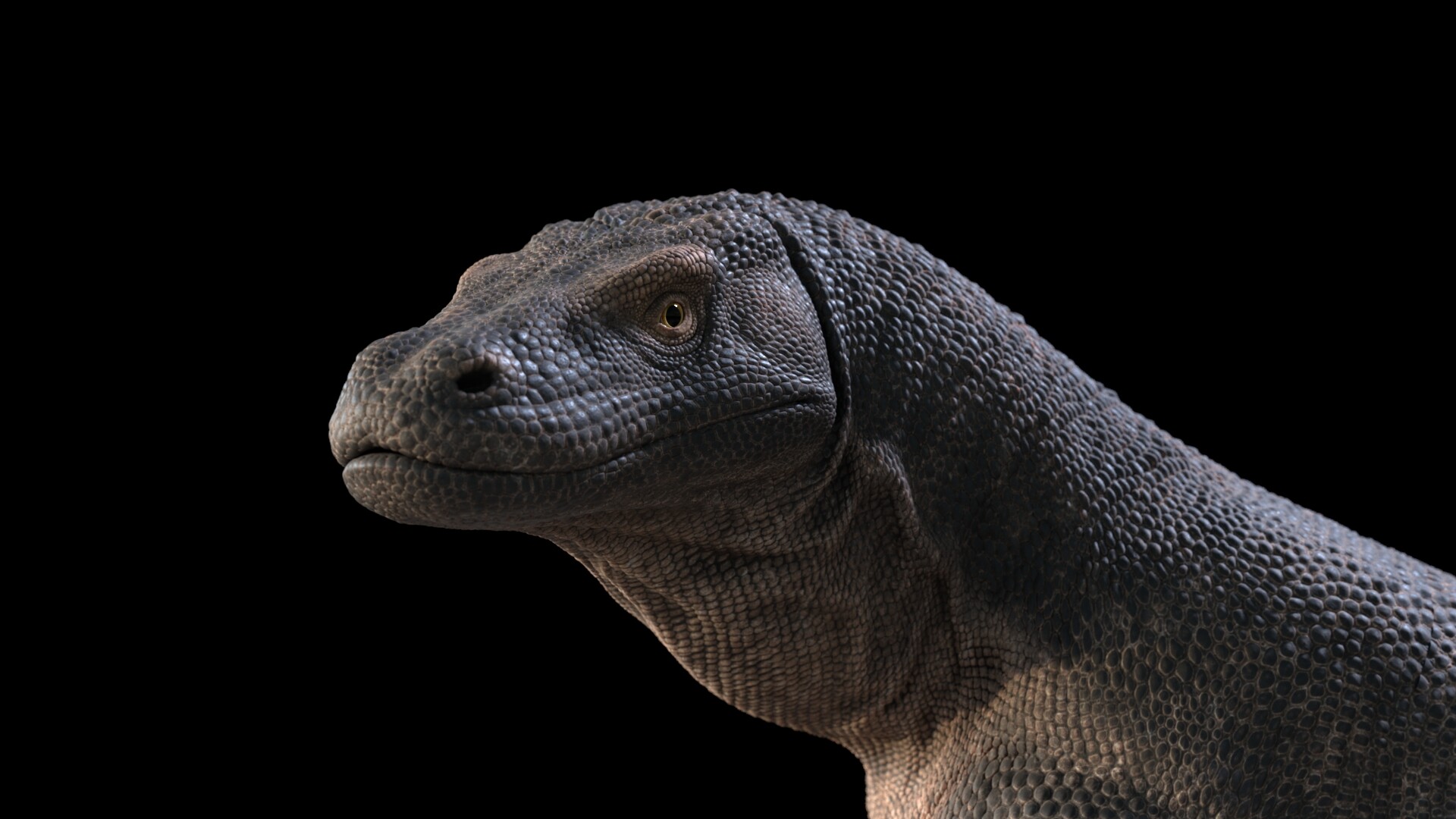 Komodo Dragon Anatomy
