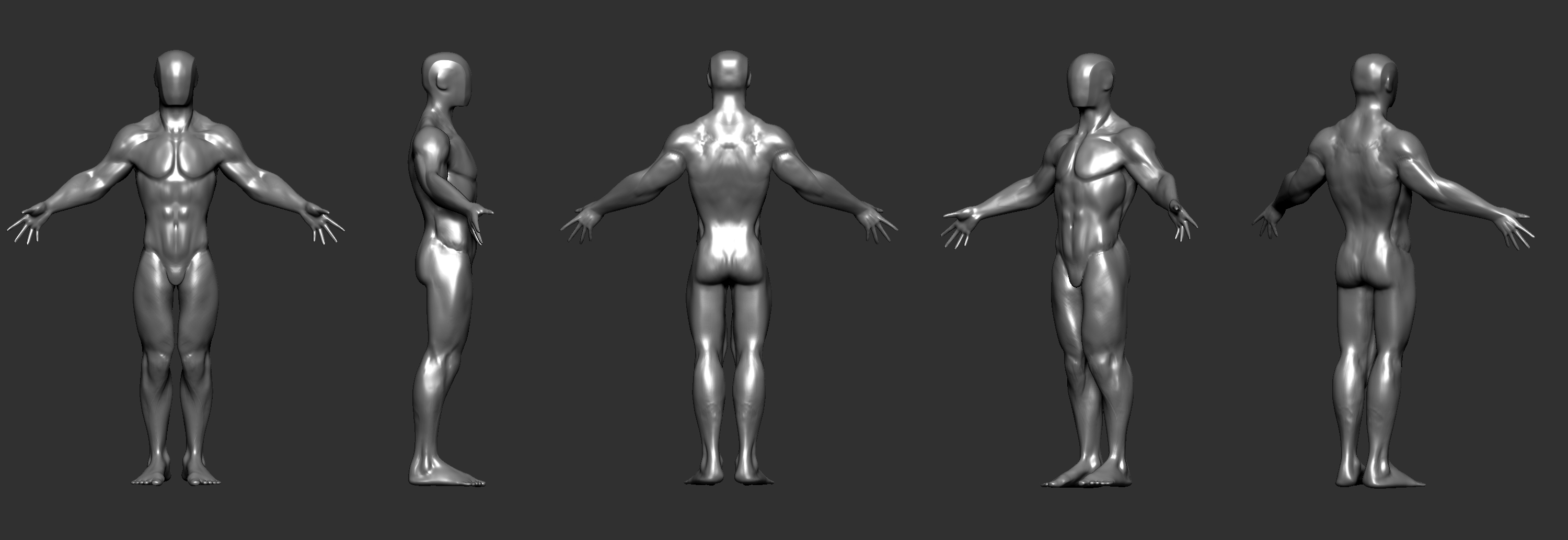 Zbrush Anatomy Sculpt - ZBrushCentral