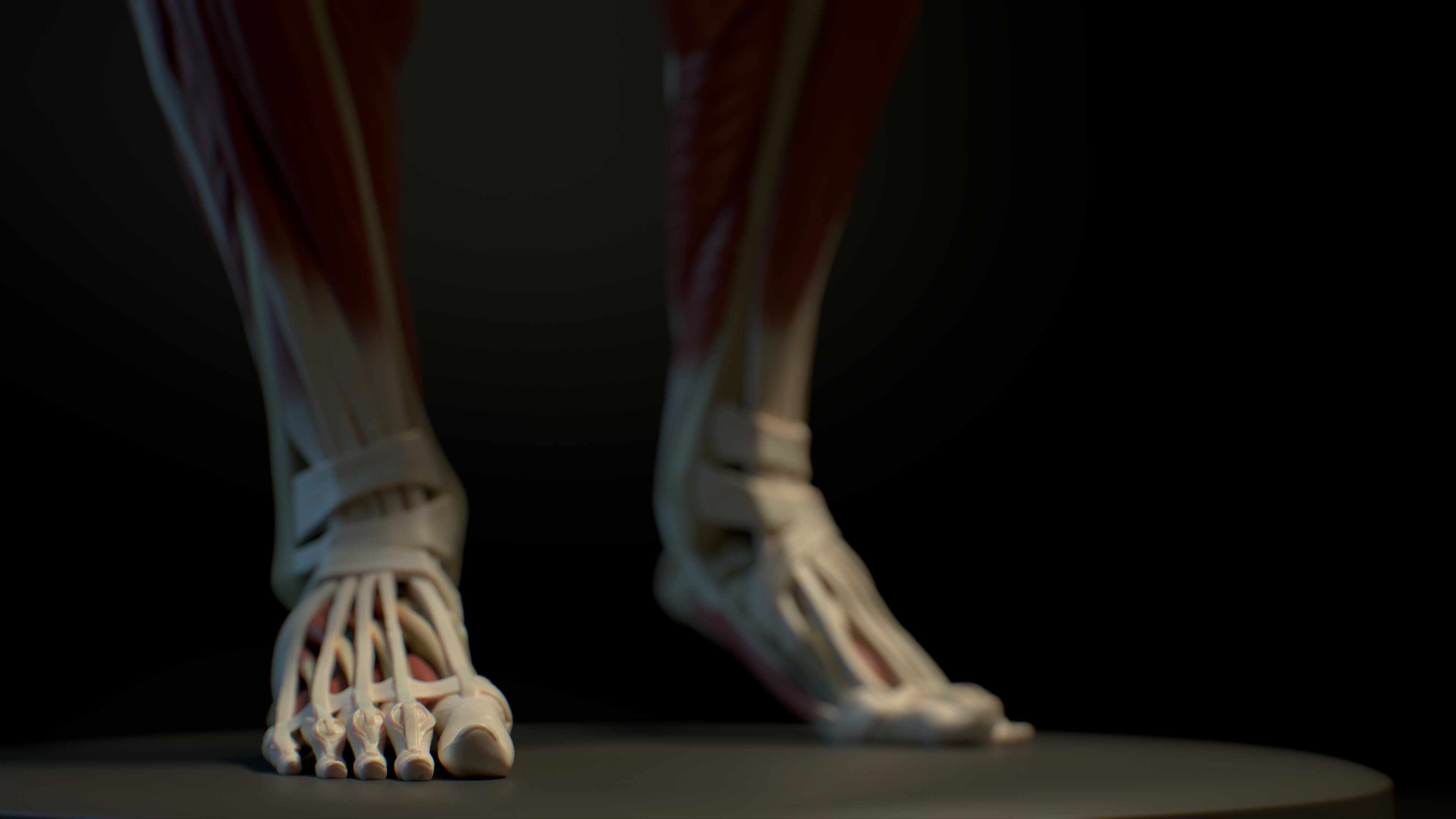 Ecorche - ZBrushCentral