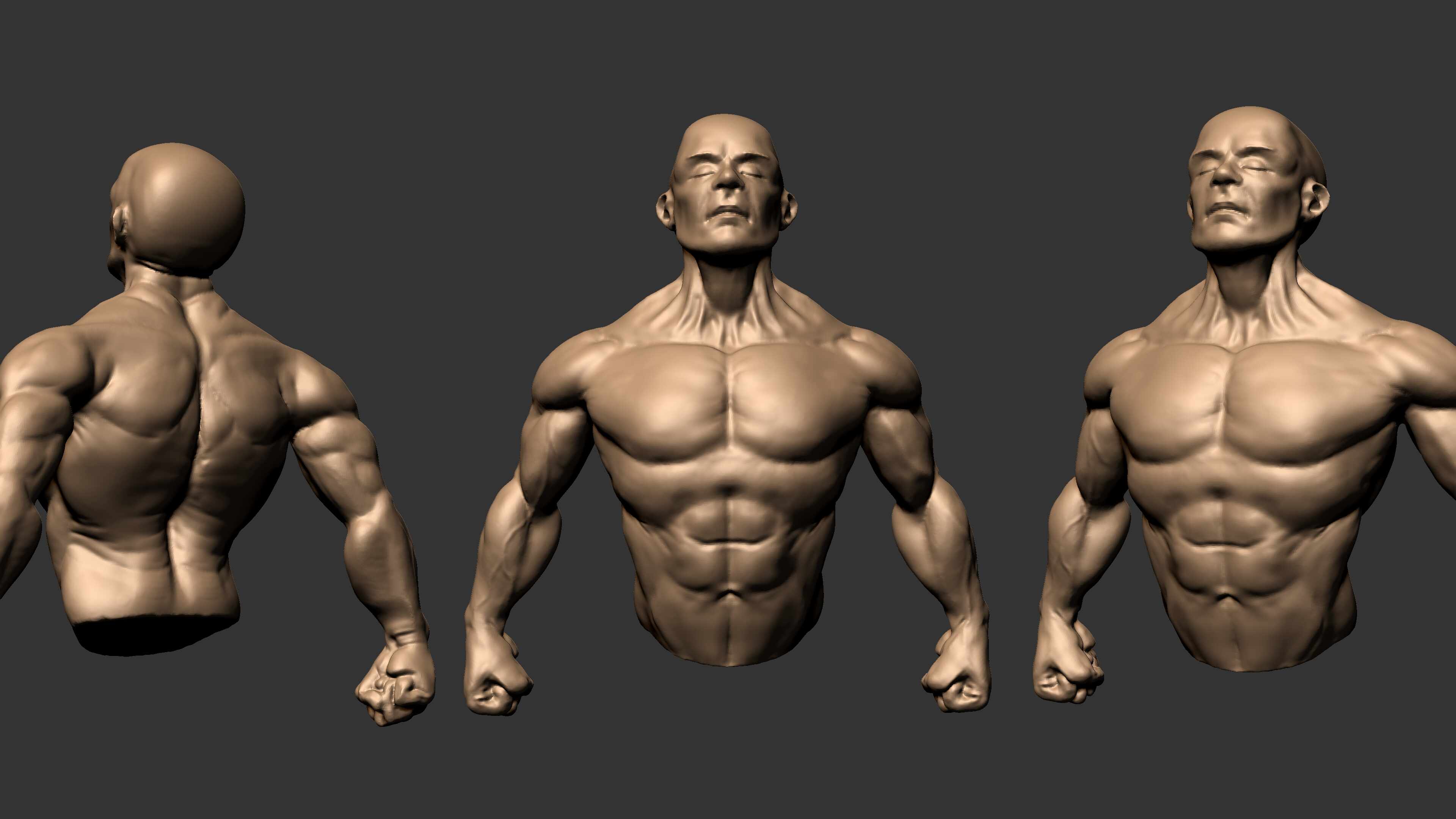 Anatomy Study - Male Bust - ZBrushCentral