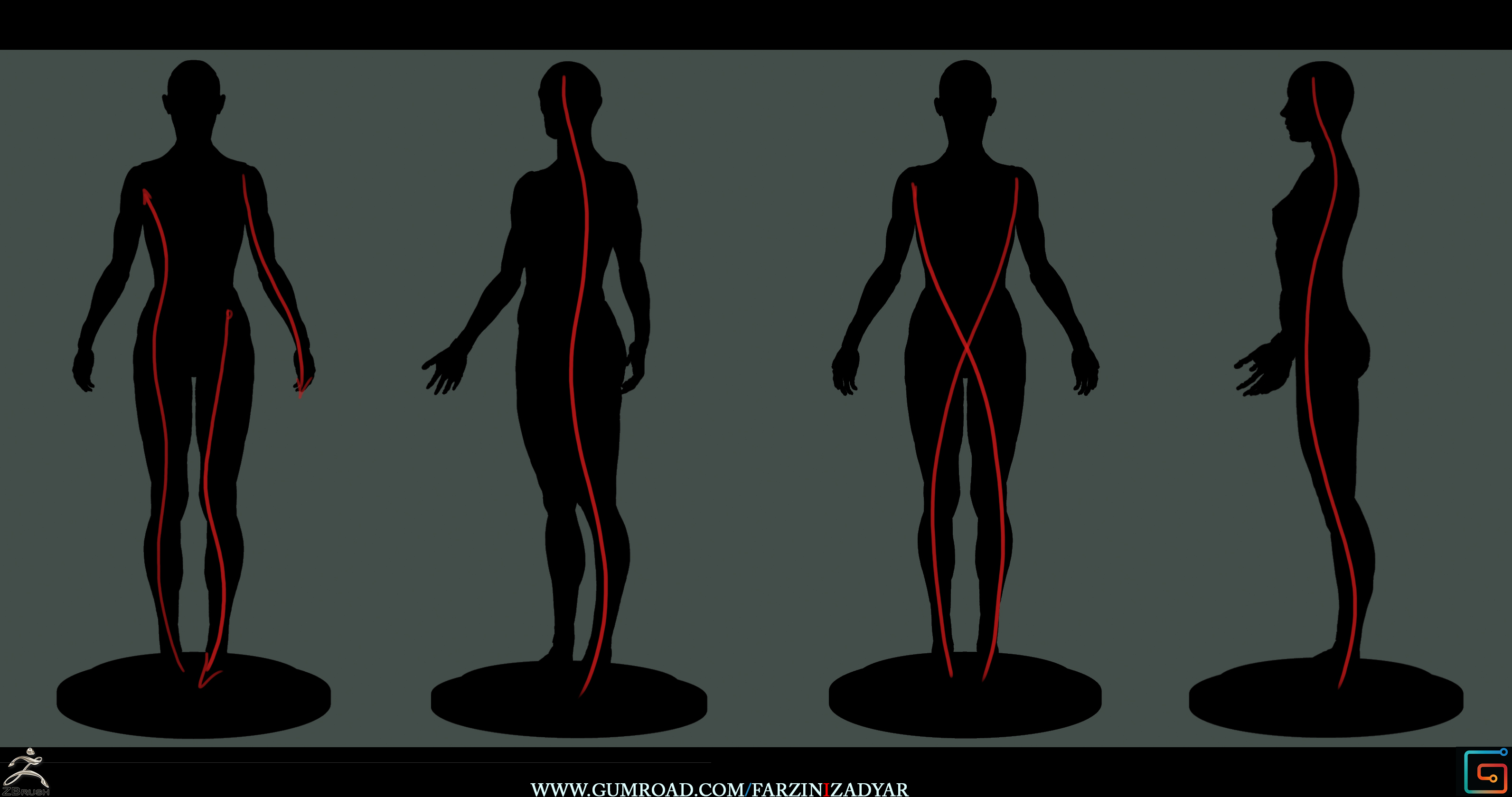 Female Anatomy Kit - ZBrushCentral