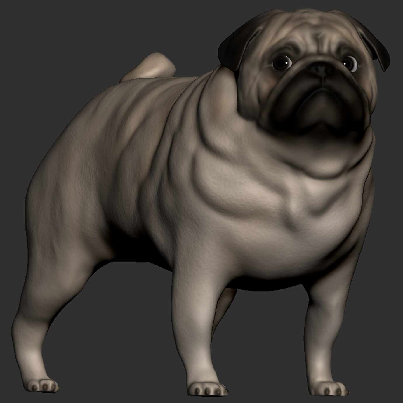 Pug 3D - ZBrushCentral