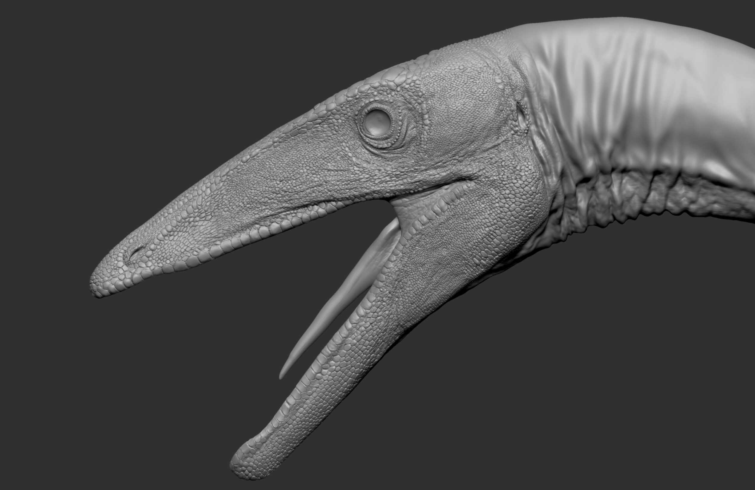Coelophysis bauri - ZBrushCentral