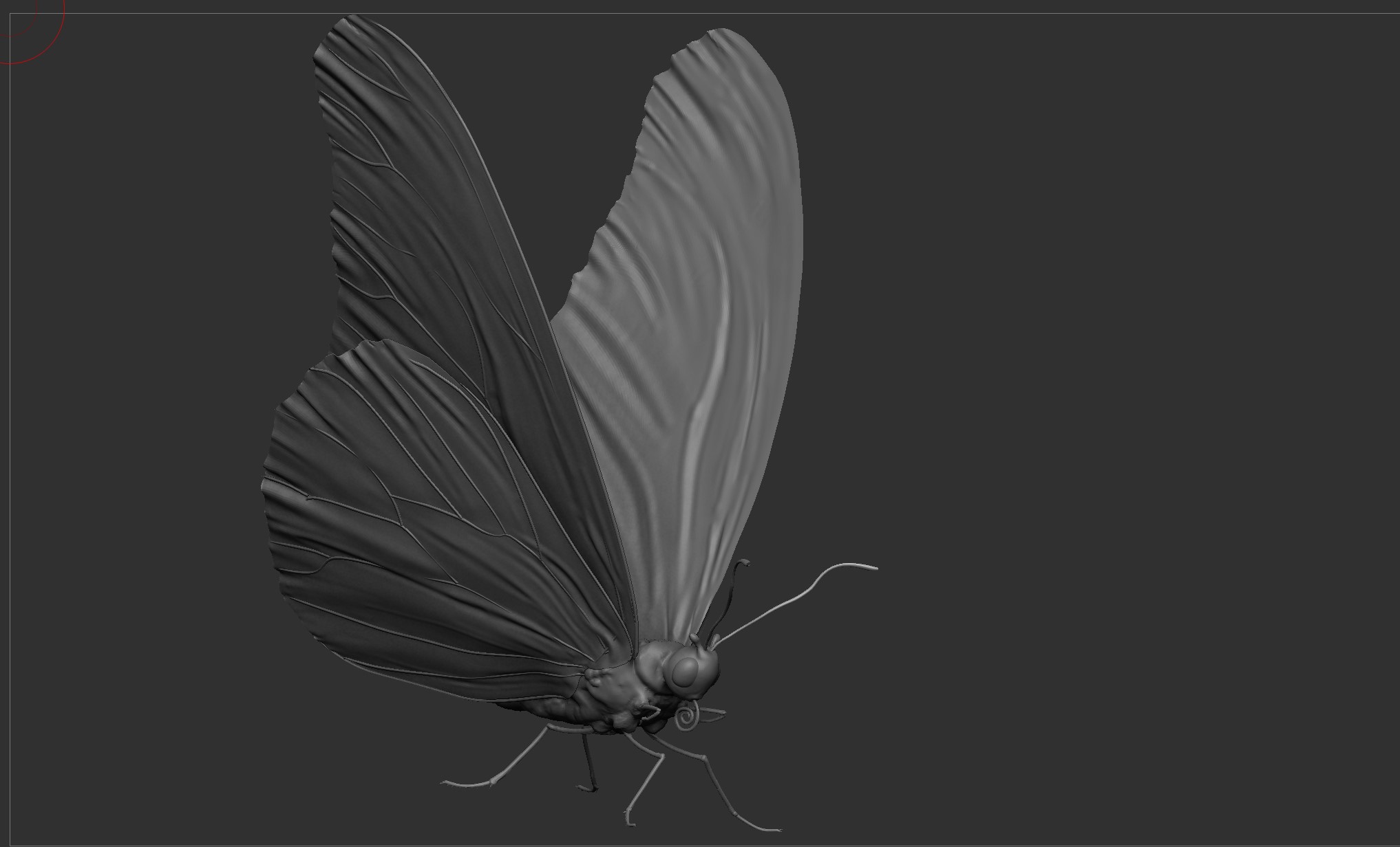 Spring Monarch - ZBrushCentral