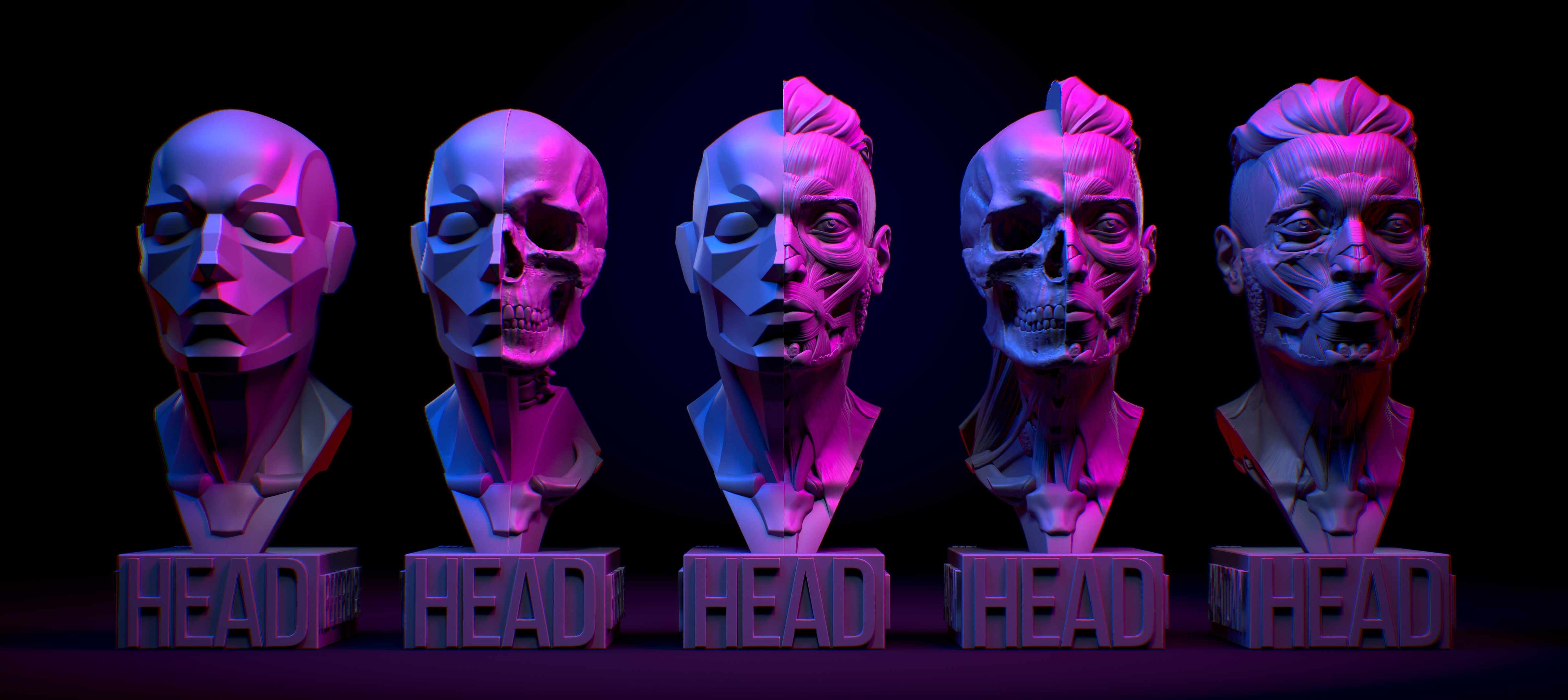 Anatomical manuals for artist - ZBrushCentral