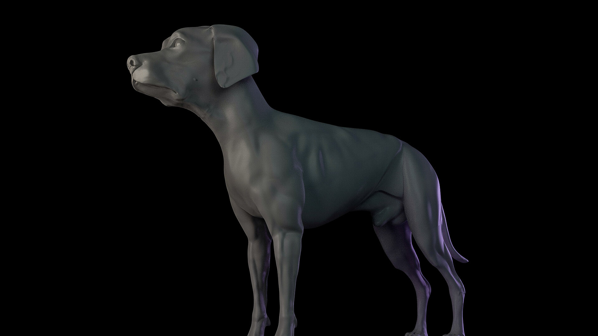DOG - ZBrushCentral