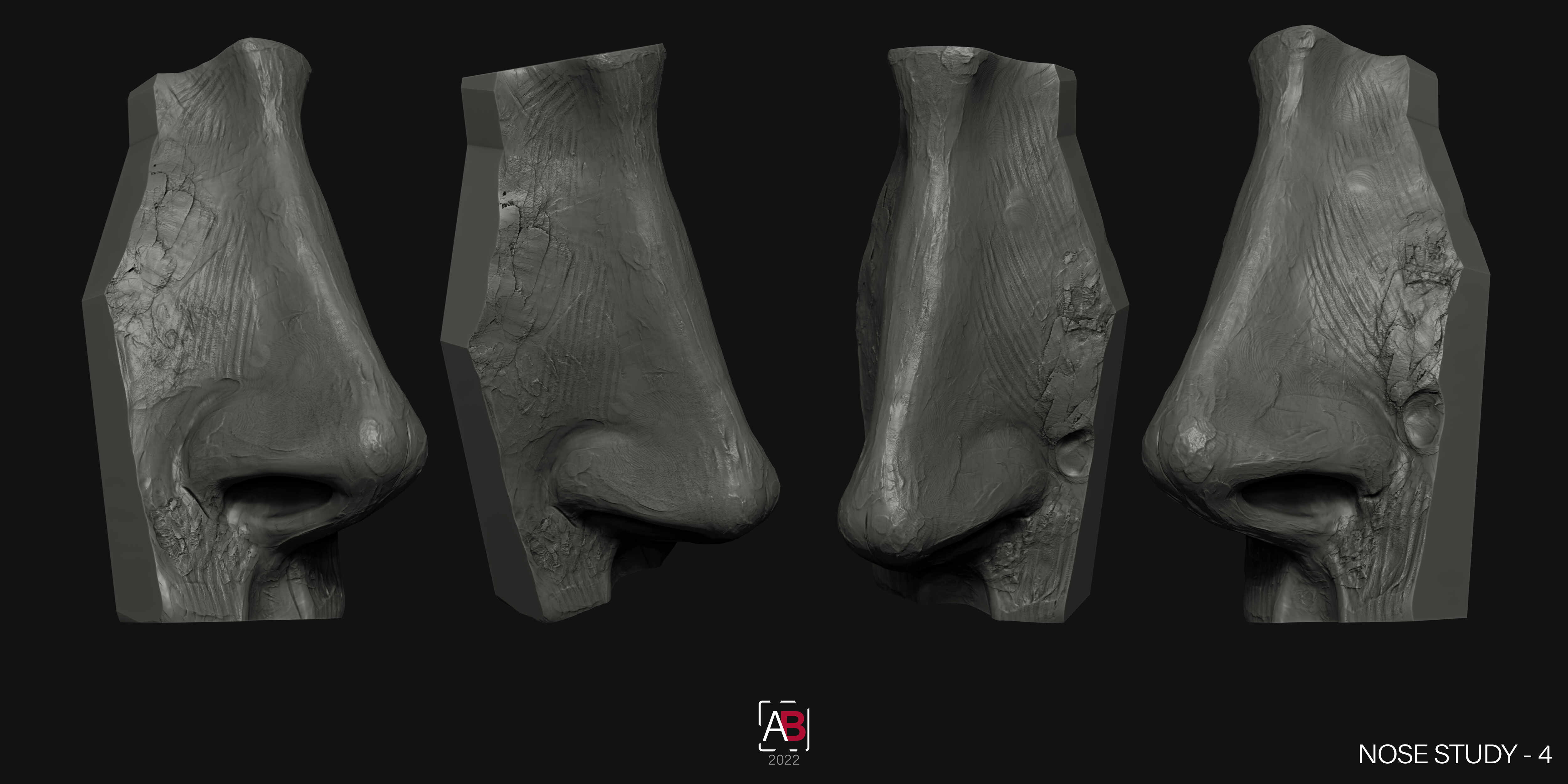 Nose Studies - ZBrushCentral