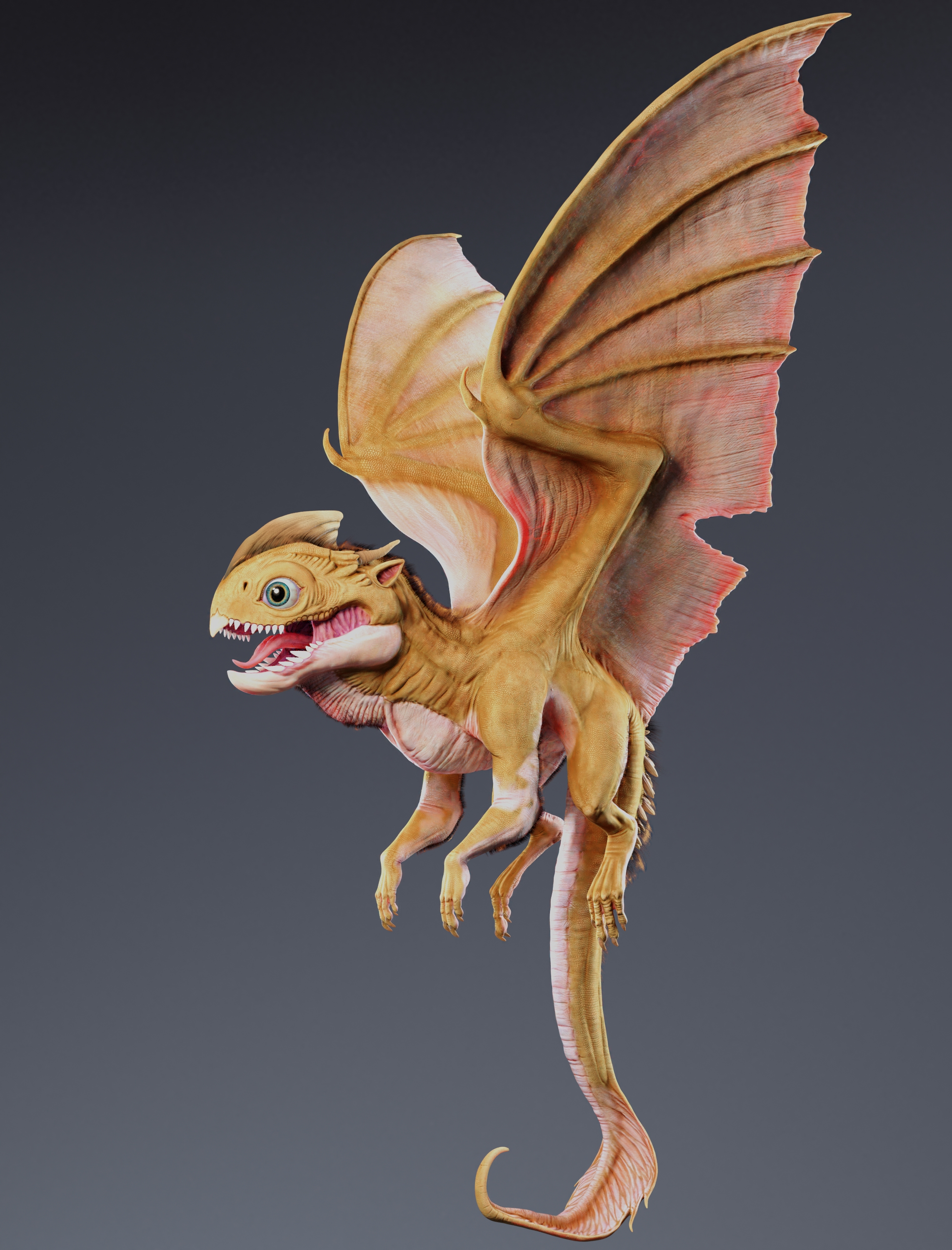 baby dragon reference