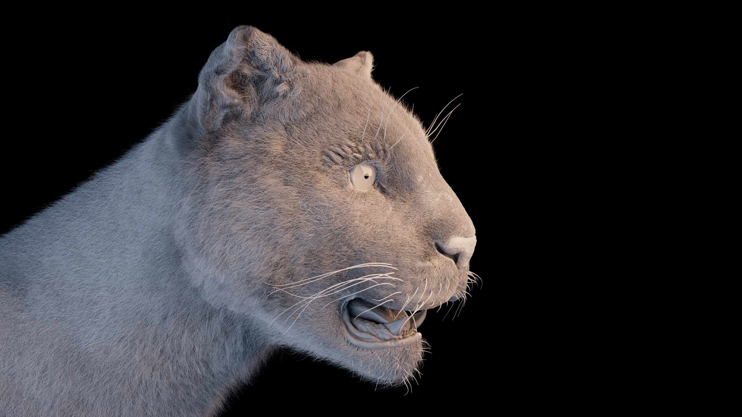 Leopard - ZBrushCentral