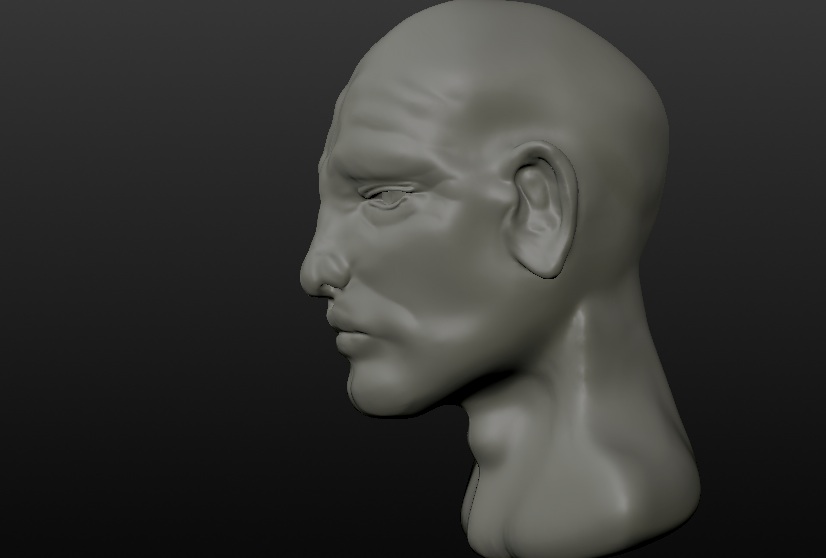 1 hour bust/WIP - ZBrushCentral