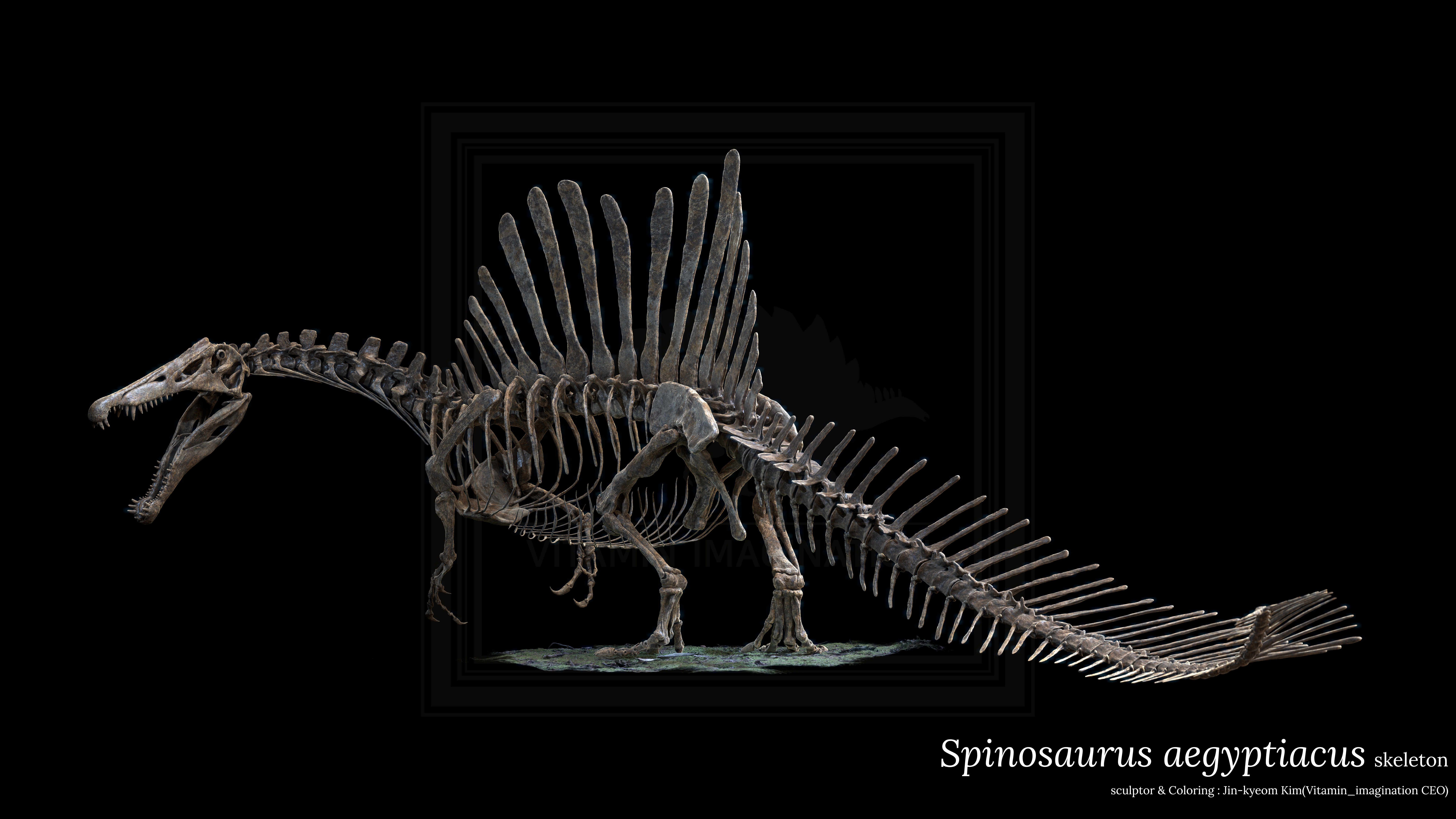 Spinosaurus Aegyptiacus Skeleton
