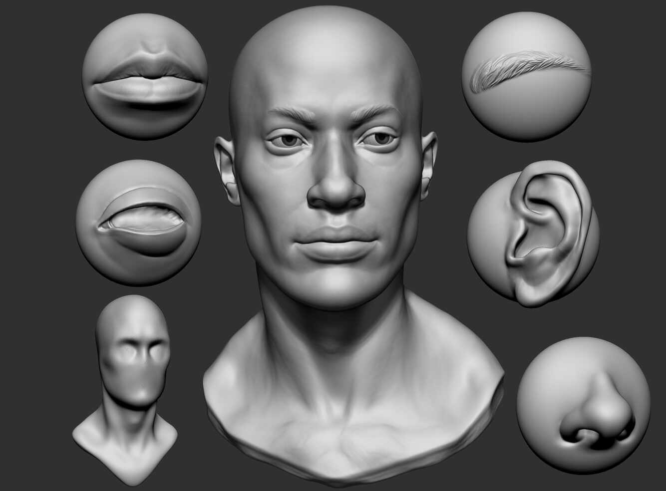FlippedNormals Face VDMs - ZBrushCentral
