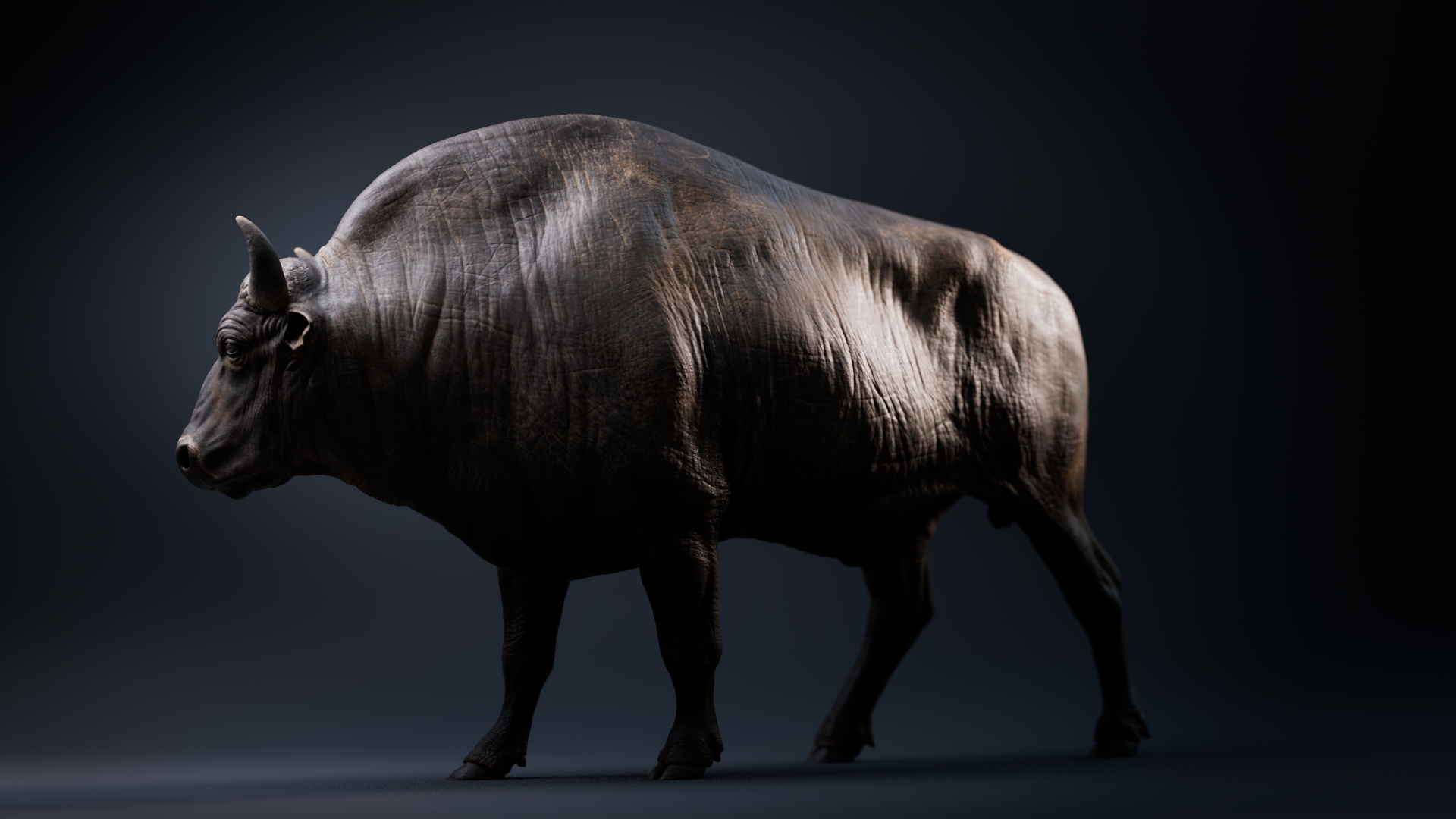 Bison Modeling Tutorial - ZBrushCentral
