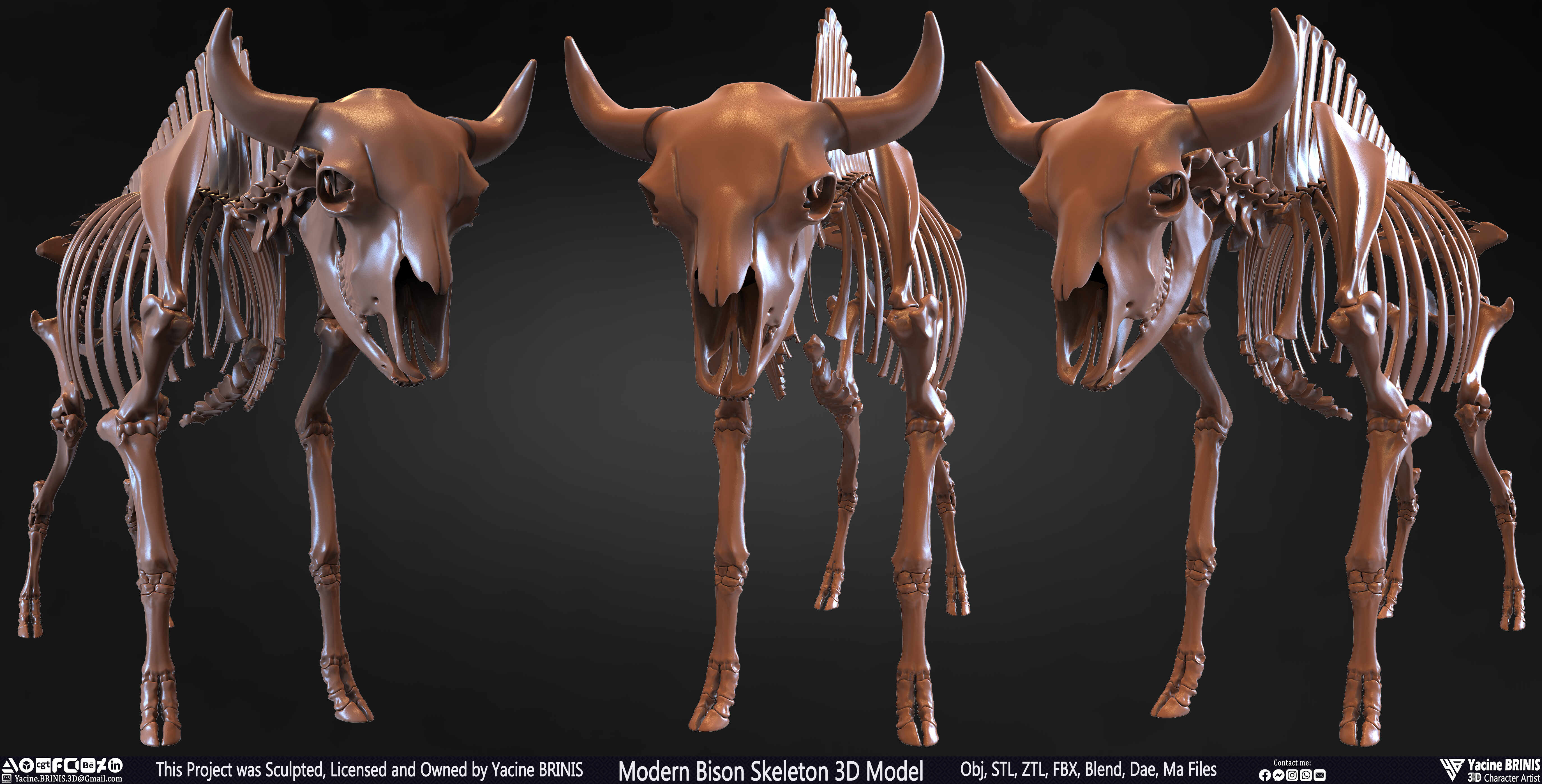 Modern Bison Skeleton 3D Model - ZBrushCentral