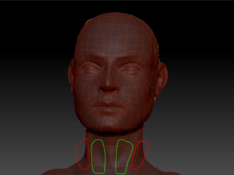 Retopo Problem in Windows 7 - ZBrushCentral