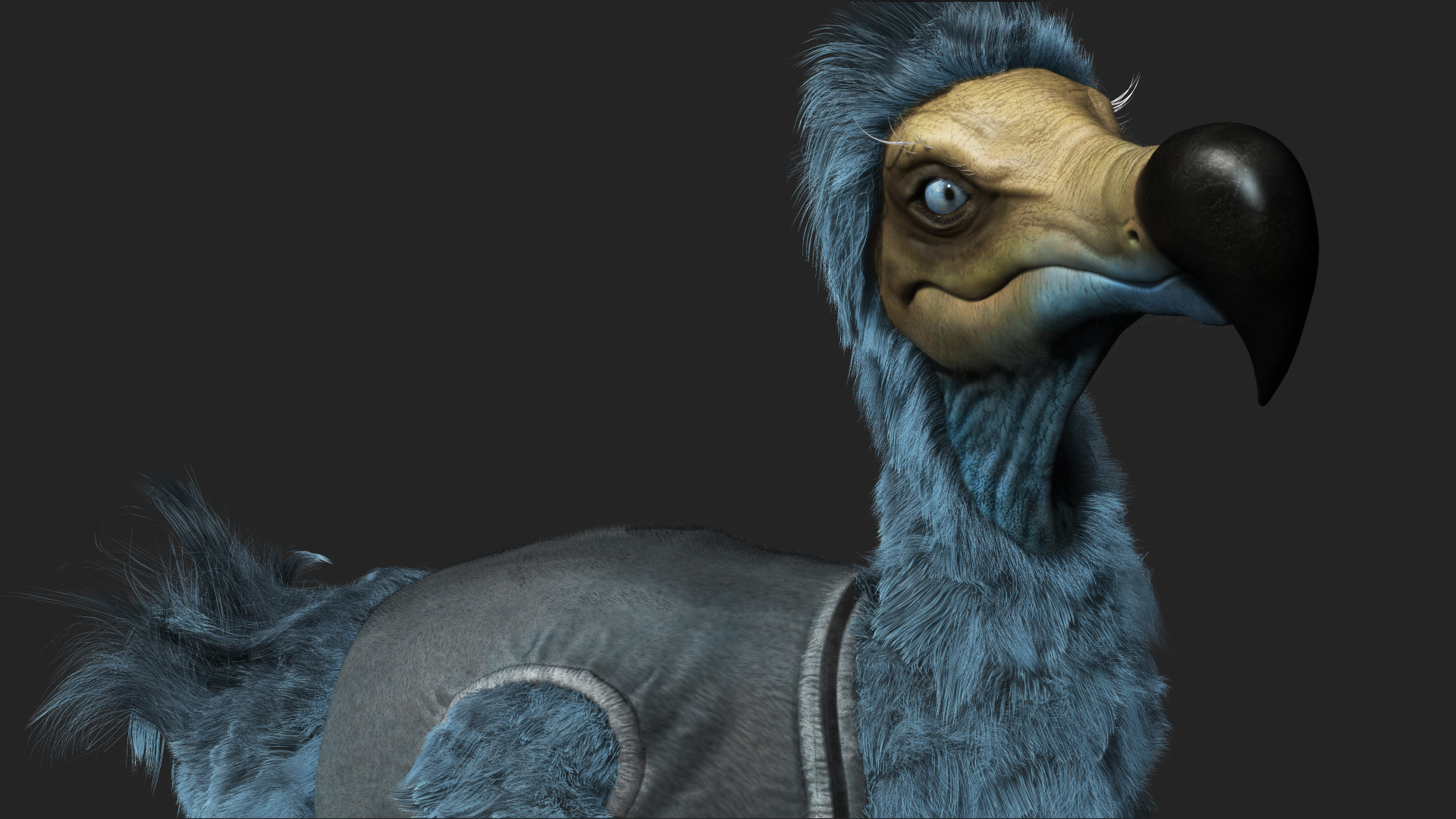 First timer - ZBrushCentral