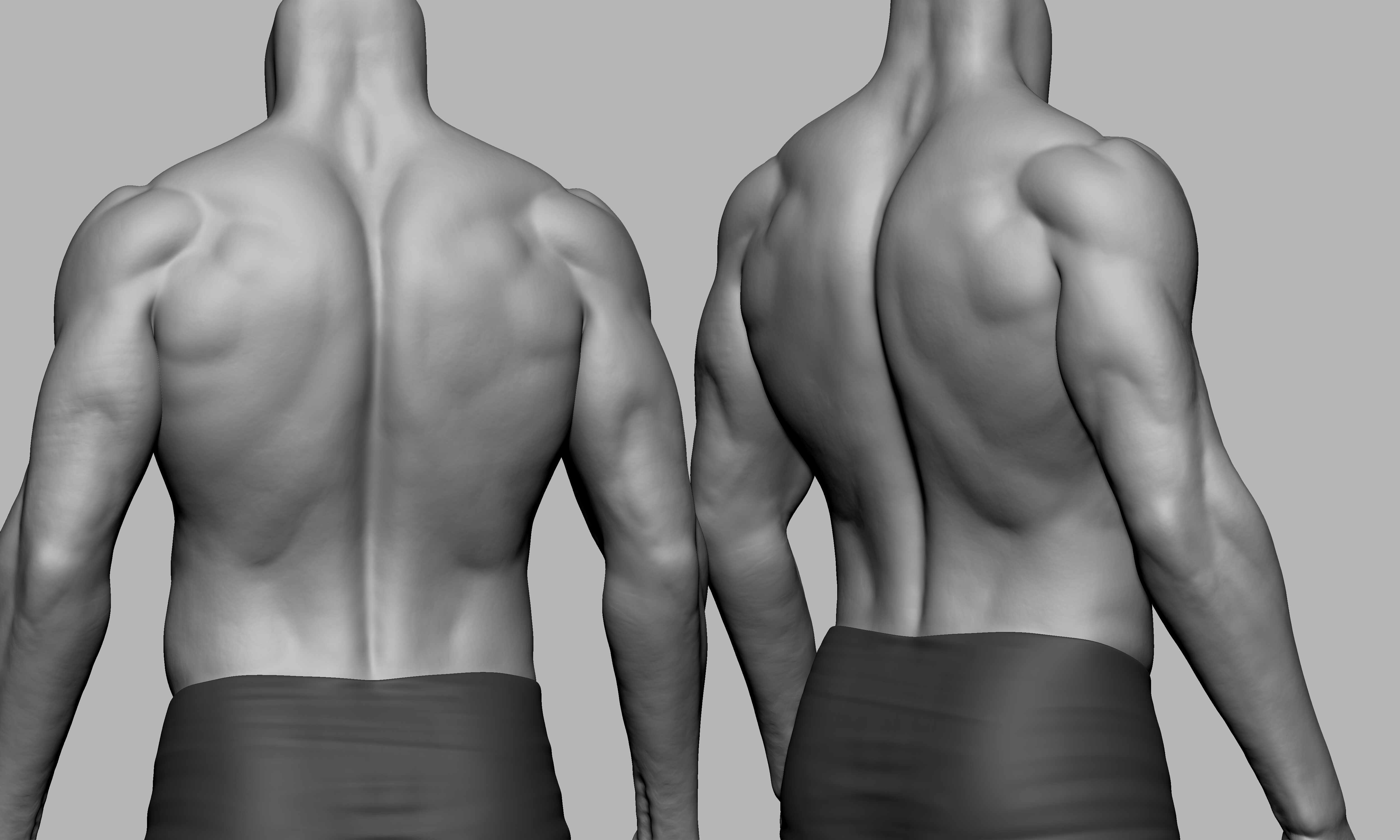 Anatomy Practice Zbrushcentral