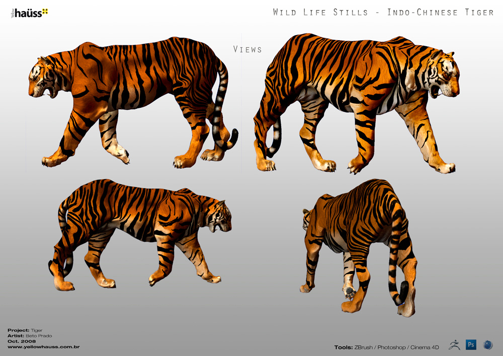 Wild Life Stills - TIGER - ZBrushCentral