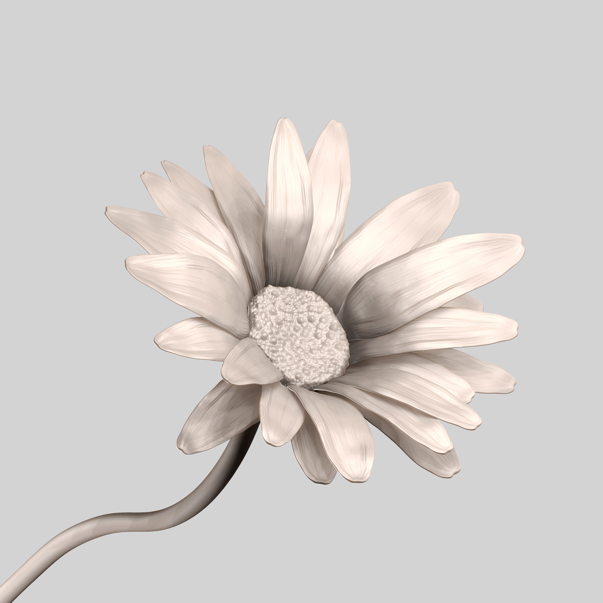 Bee Project - ZBrushCentral