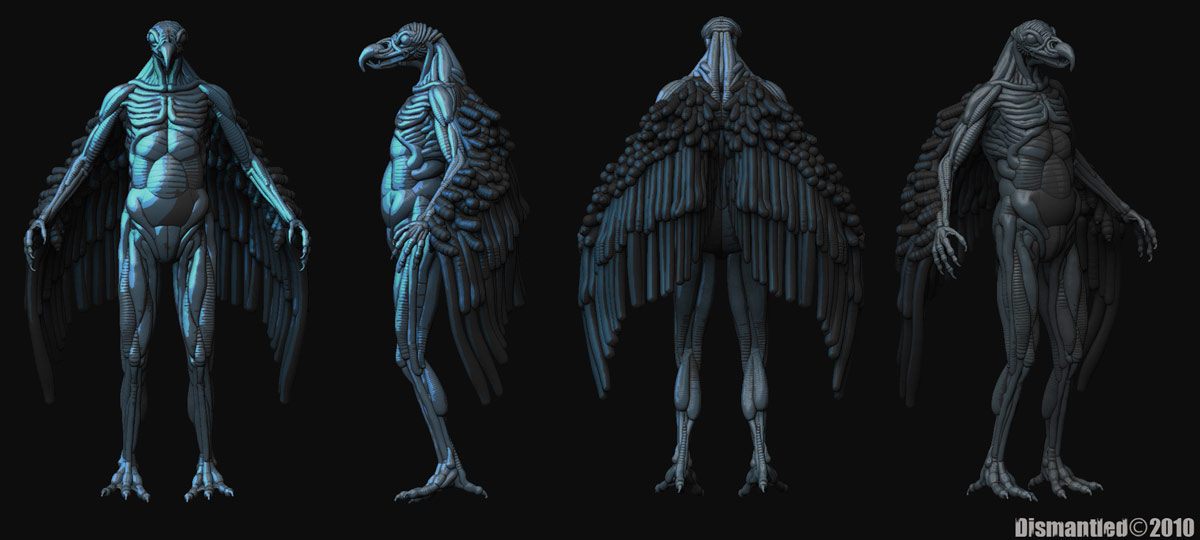 Vulture stuff - ZBrushCentral