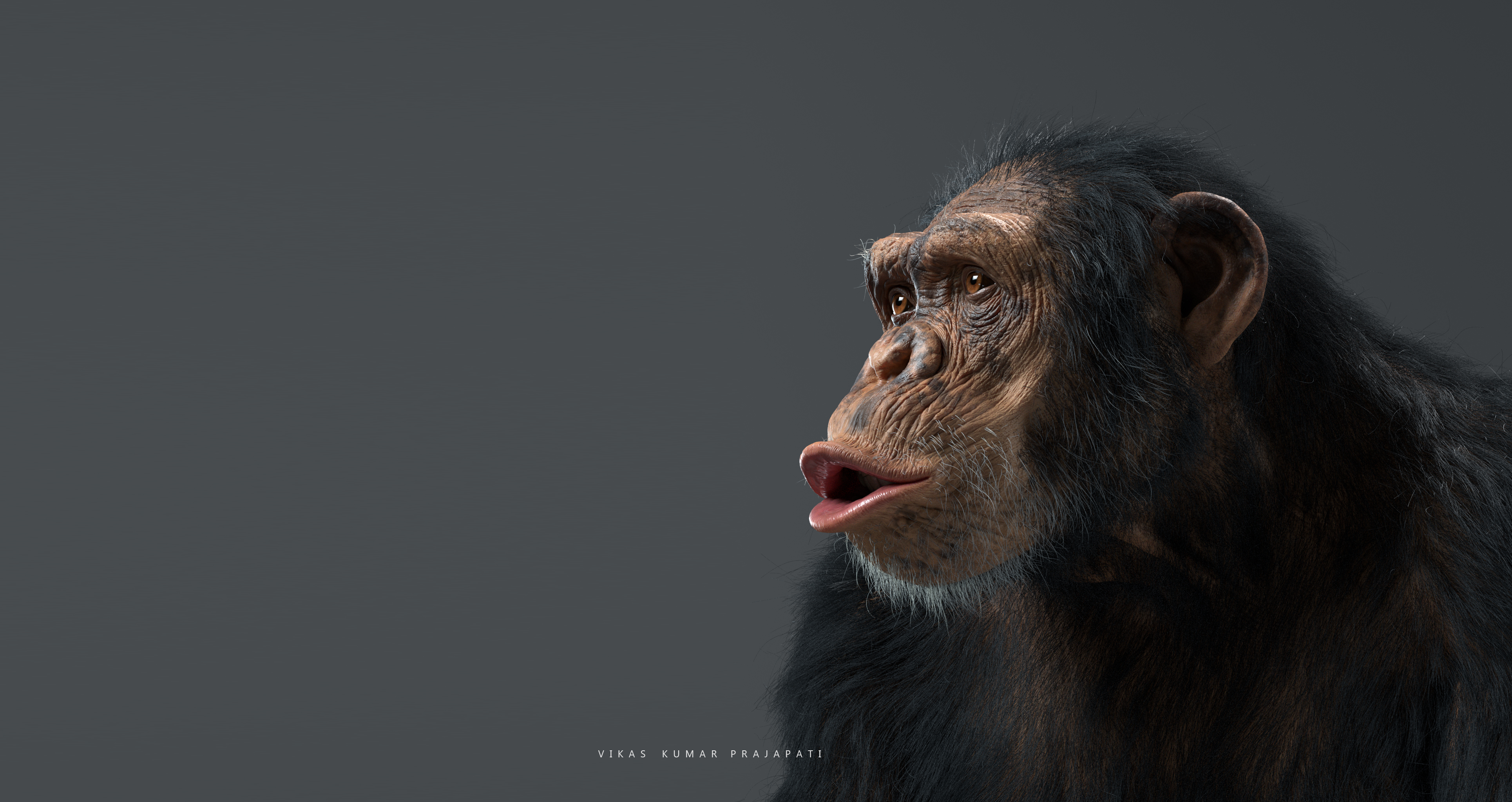 Chimp "Patrick" - ZBrushCentral