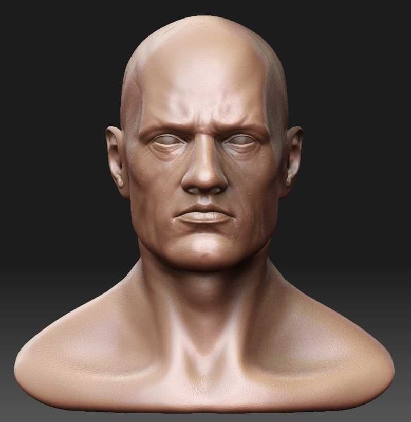 Good Advice - head sculpt - ZBrushCentral