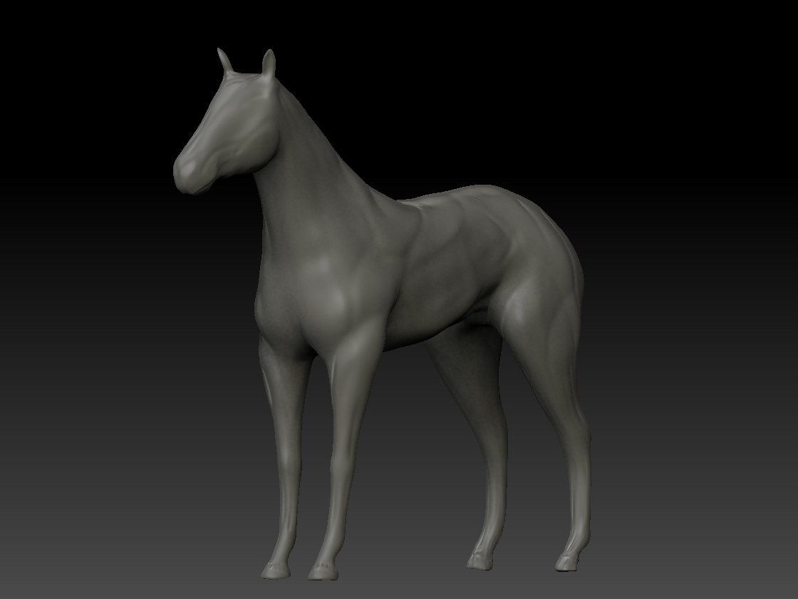 Timid first steps - ZBrushCentral