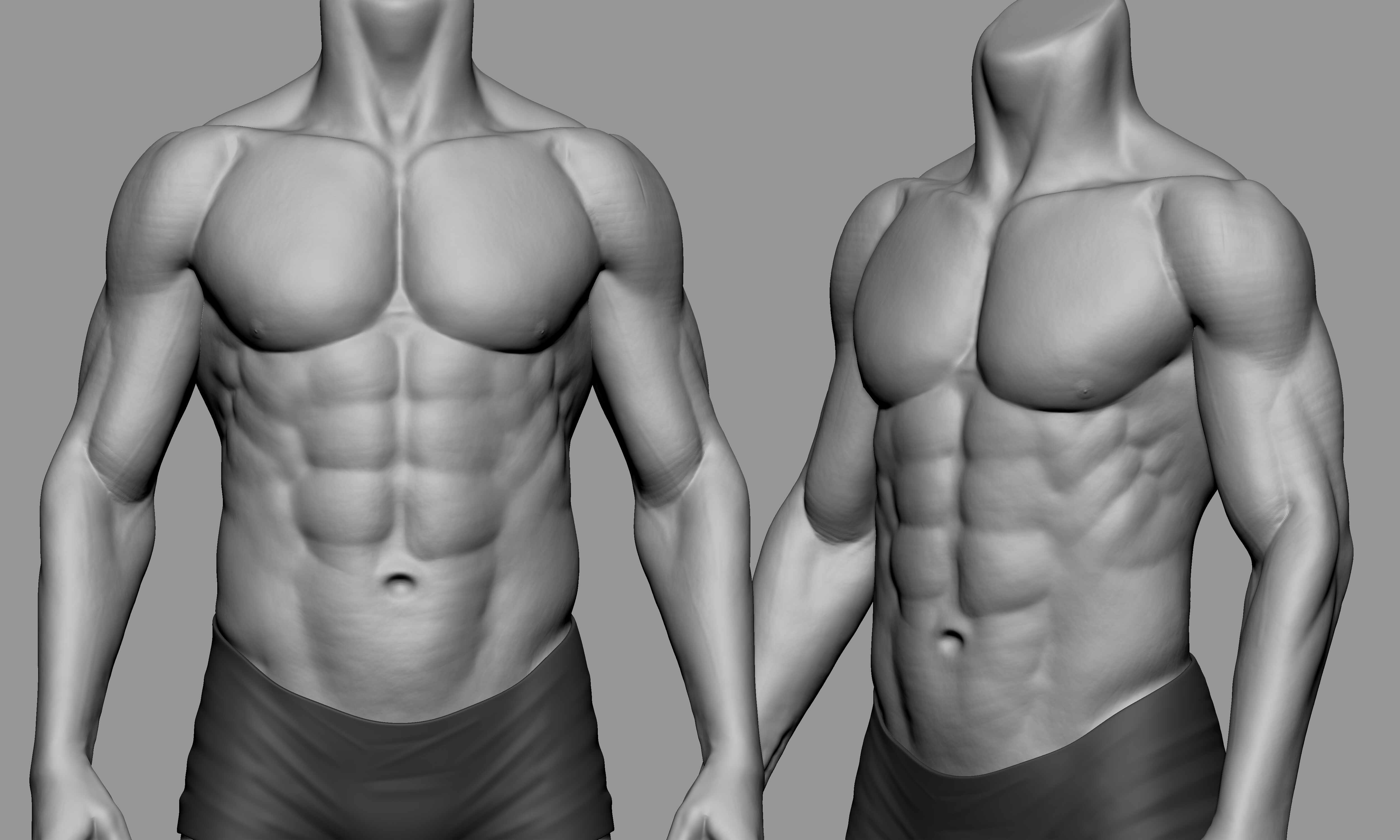 Anatomy Practice ZBrushCentral