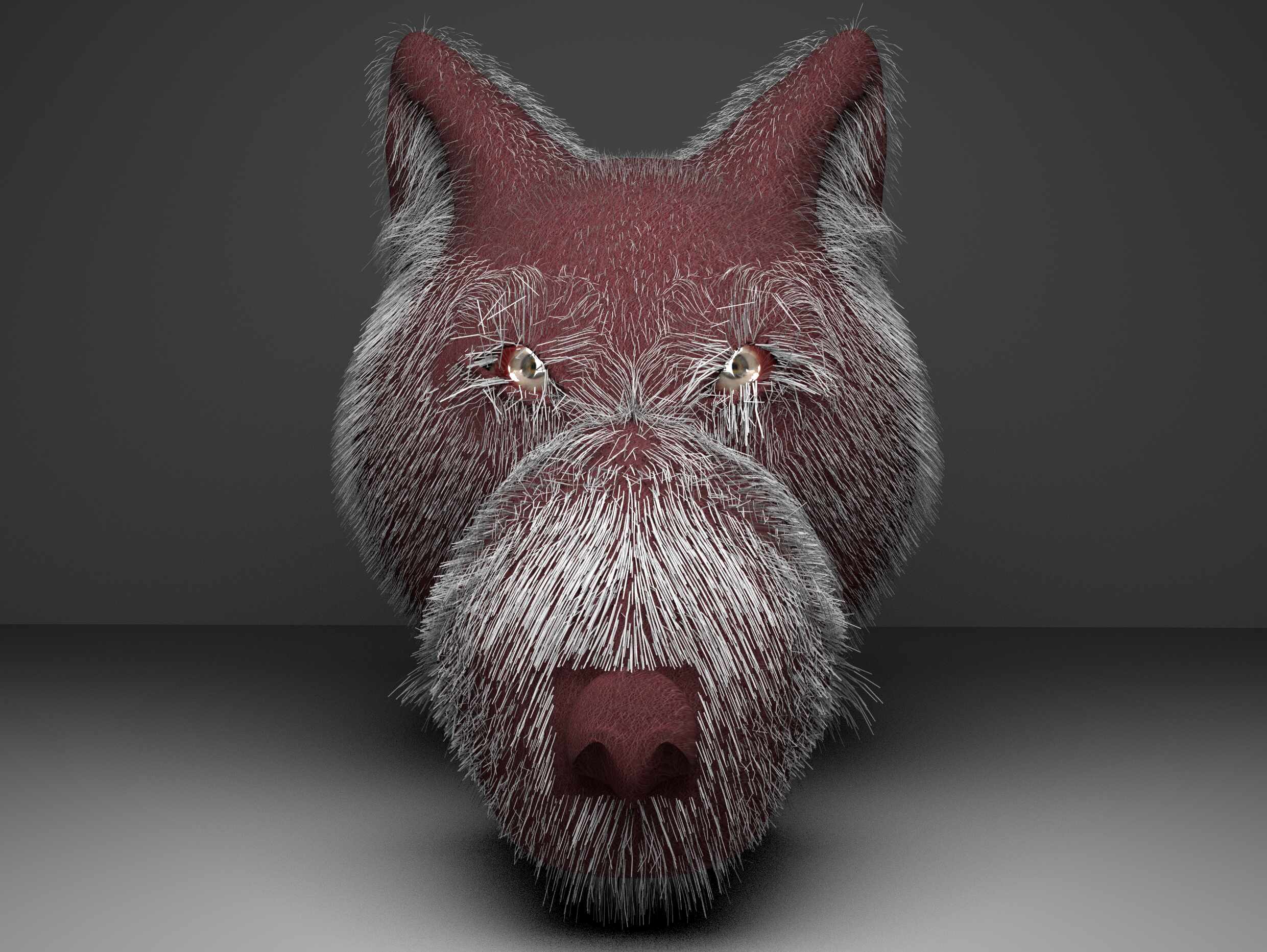 Wolf - ZBrushCentral