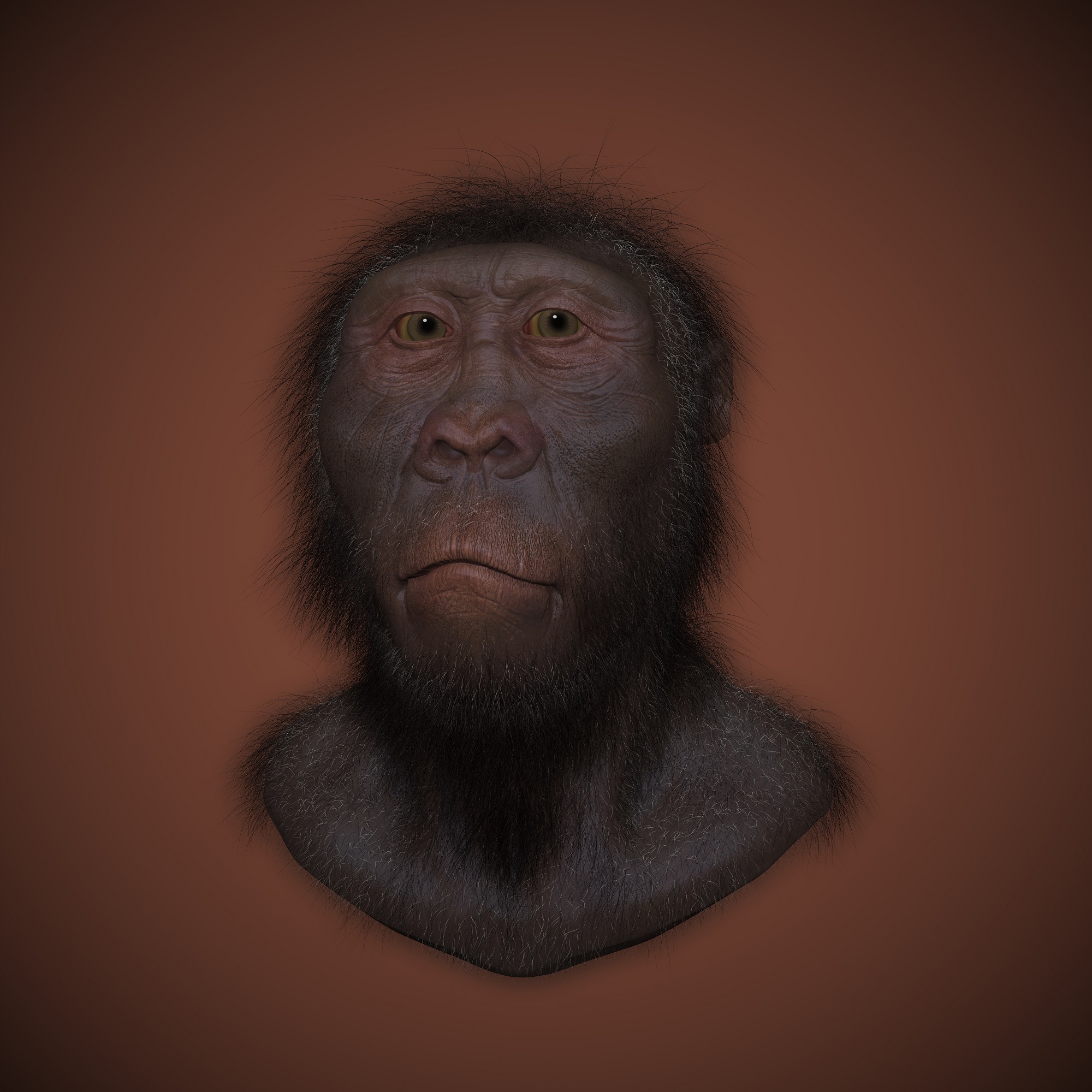 Parathropus Boisei Skull and Bust - ZBrushCentral