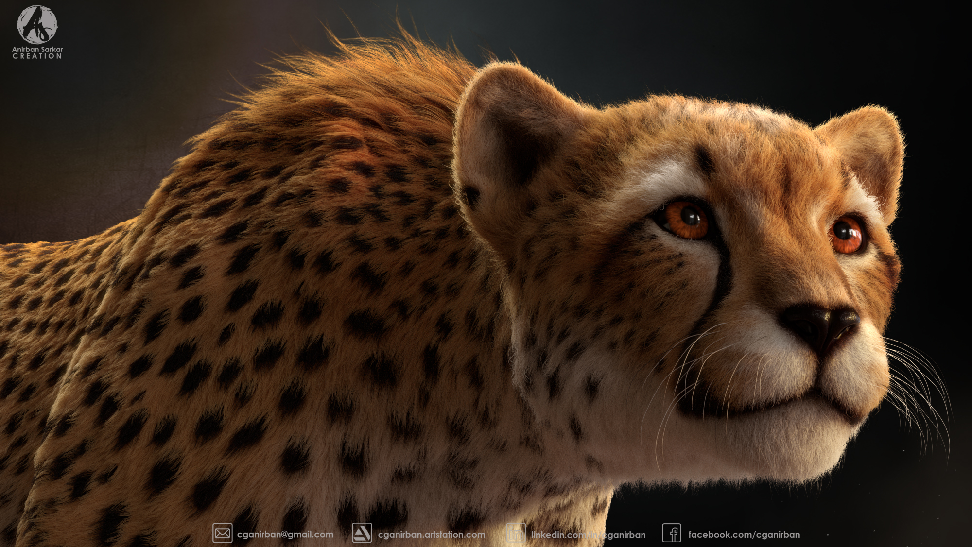 Cheetah - ZBrushCentral