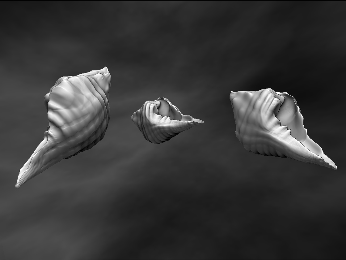conch shell - ZBrushCentral
