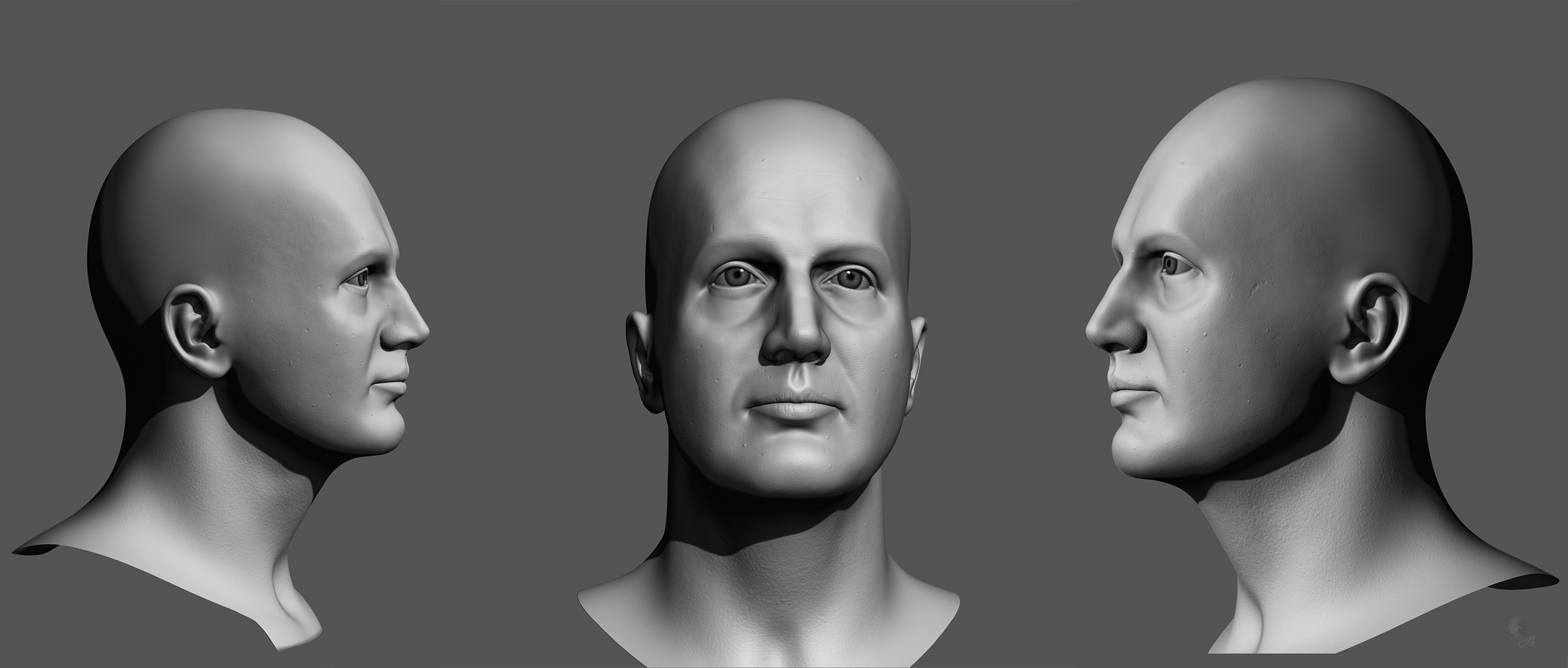 Head Study .... - ZBrushCentral