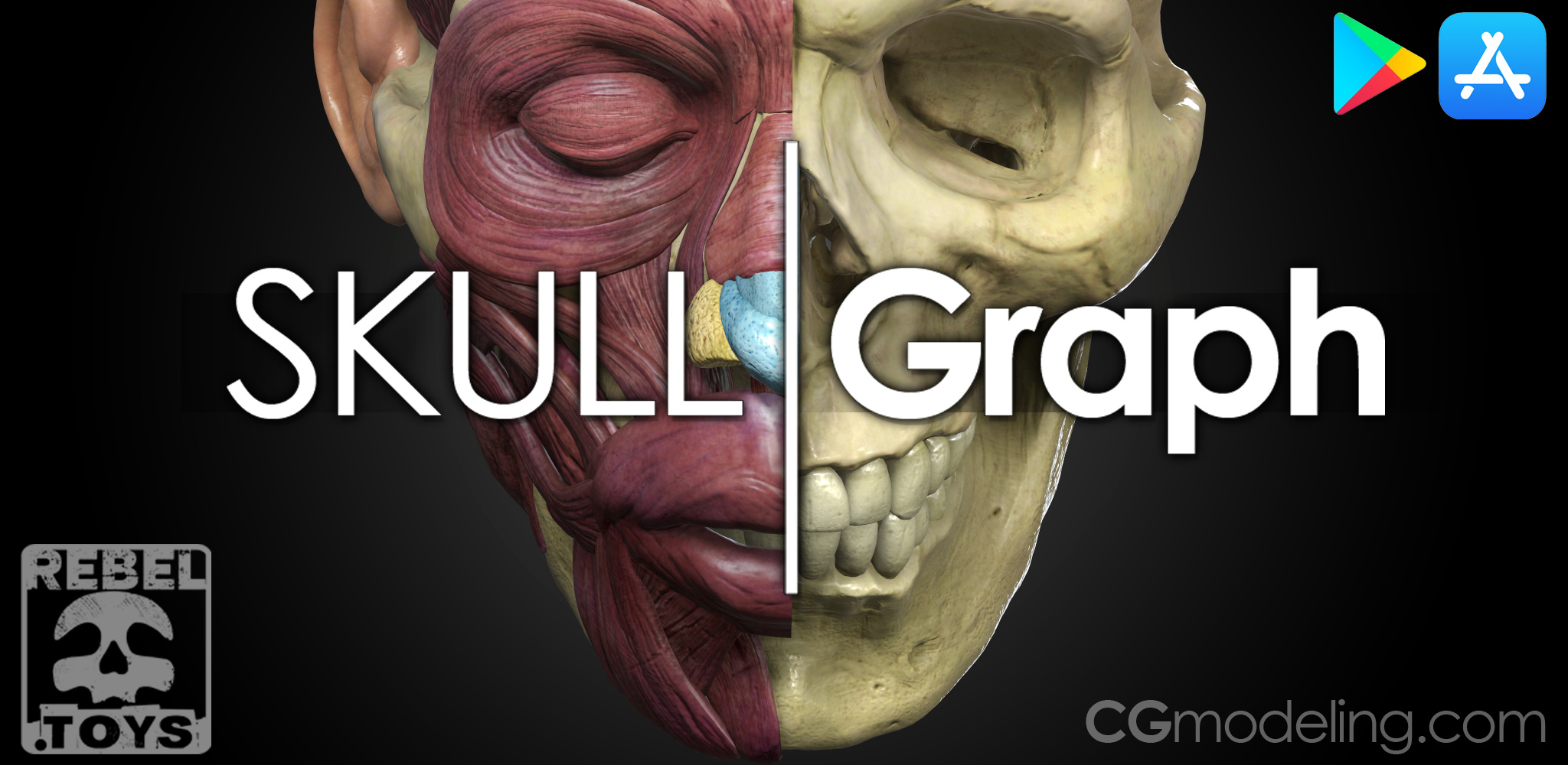 SKULL Graph: Facial Anatomy App - ZBrushCentral