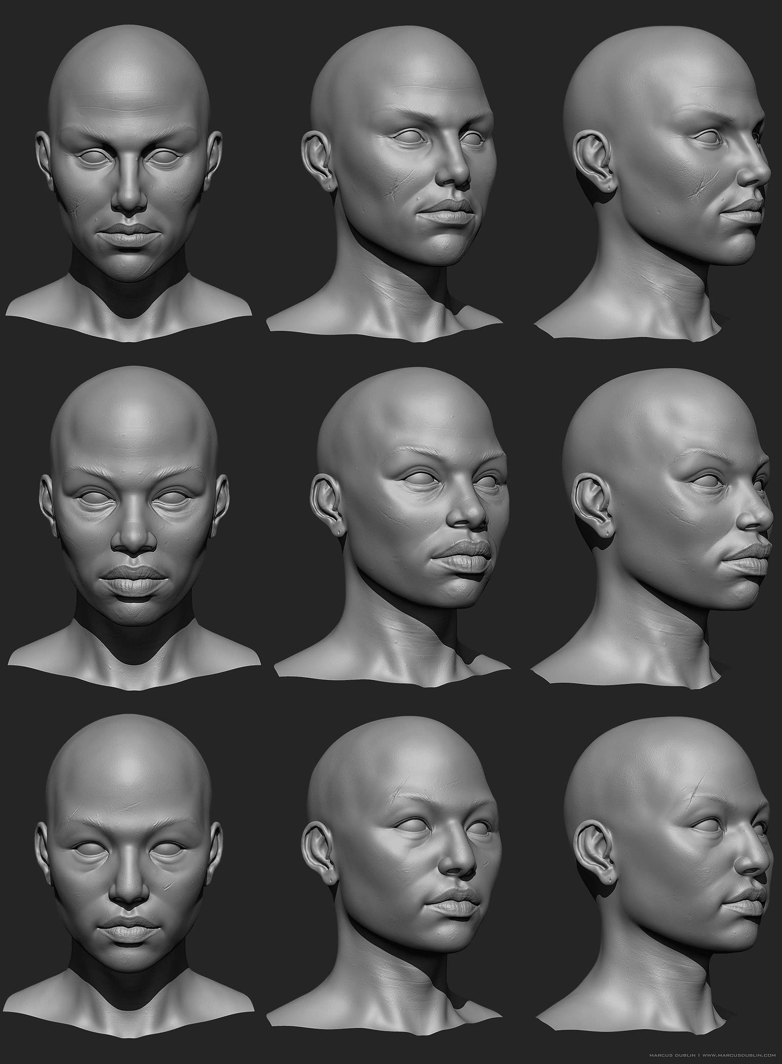 Male Female Head Studies - ZBrushCentral