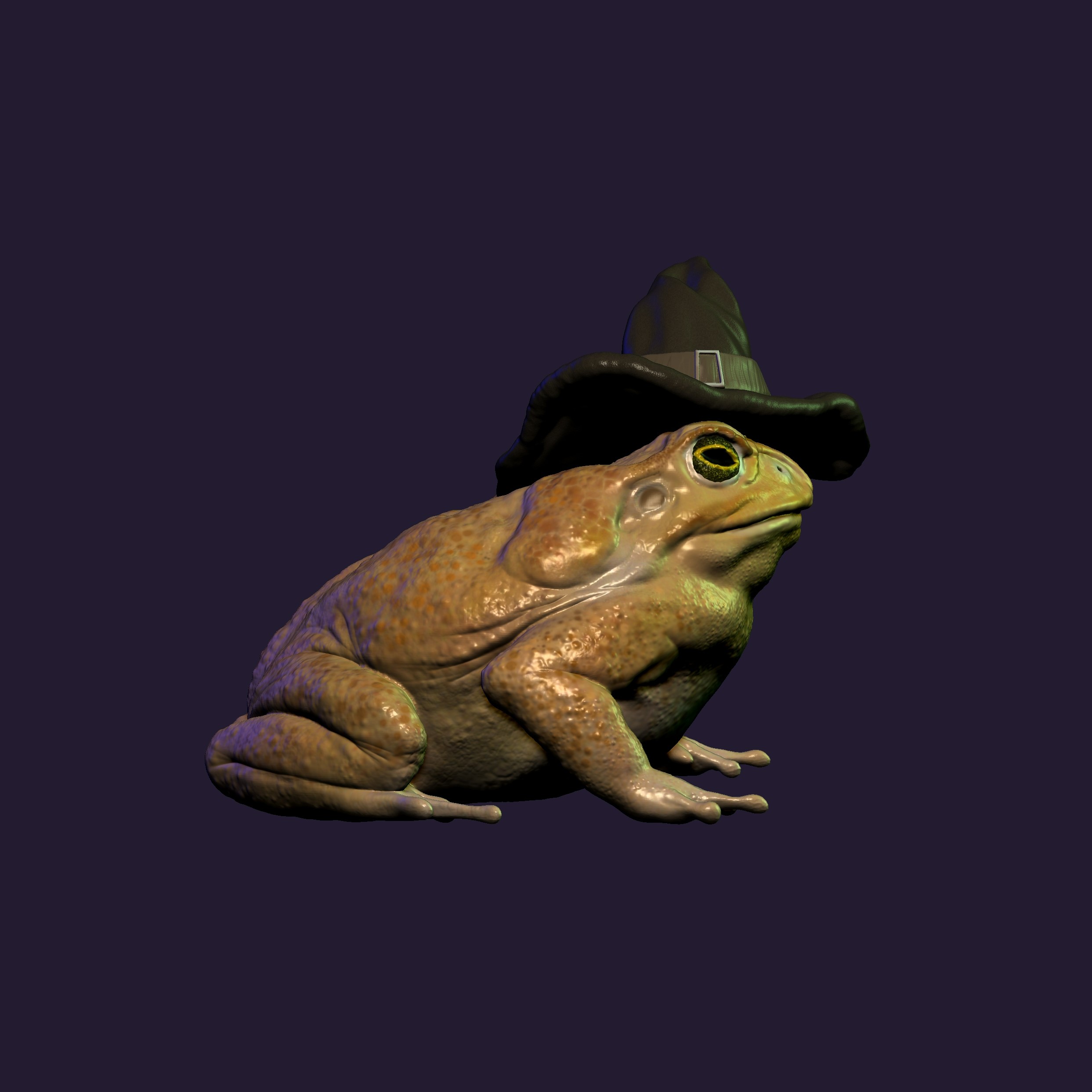 Witch's Pet - ZBrushCentral