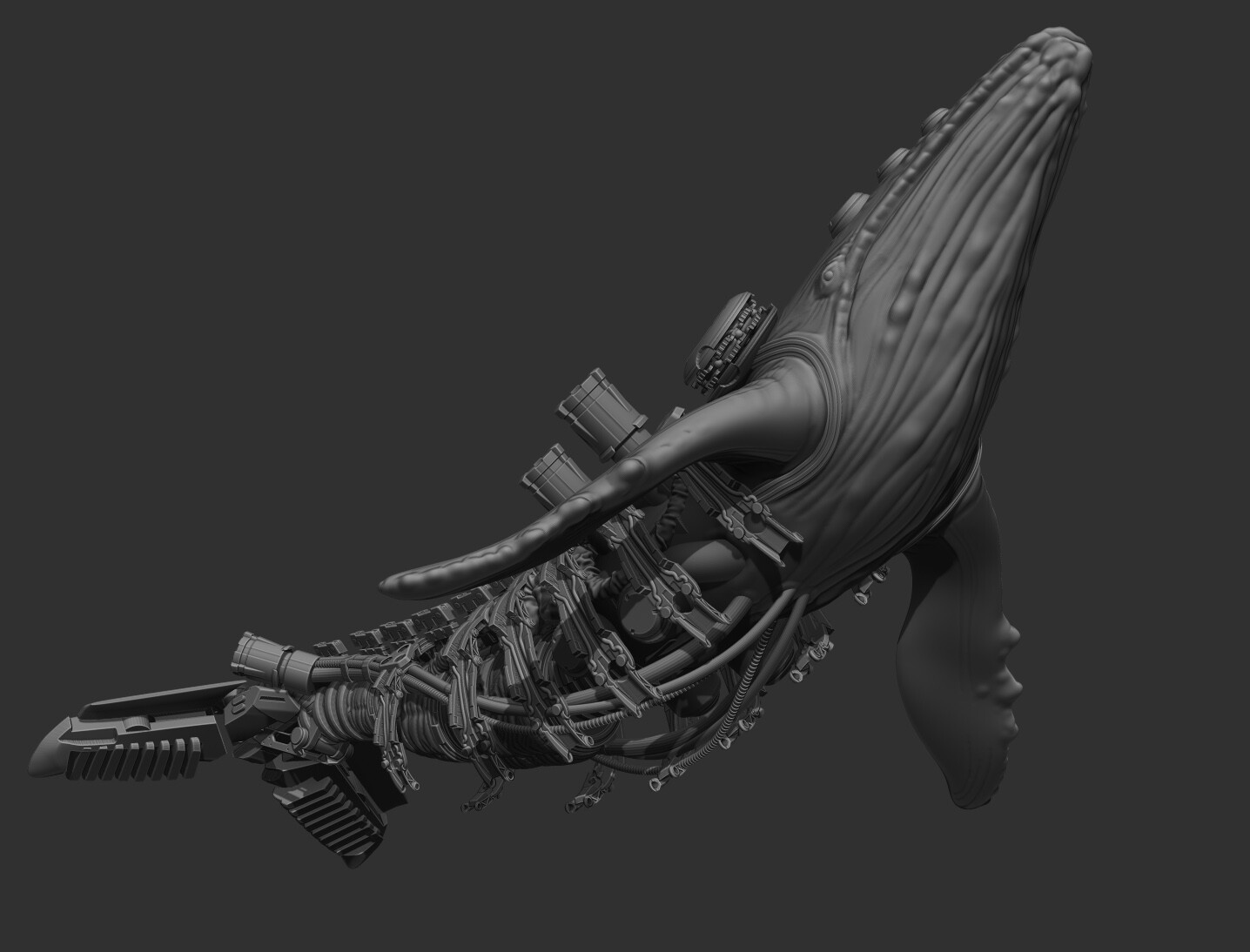 Oceanix - Mechanical sea life - ZBrushCentral