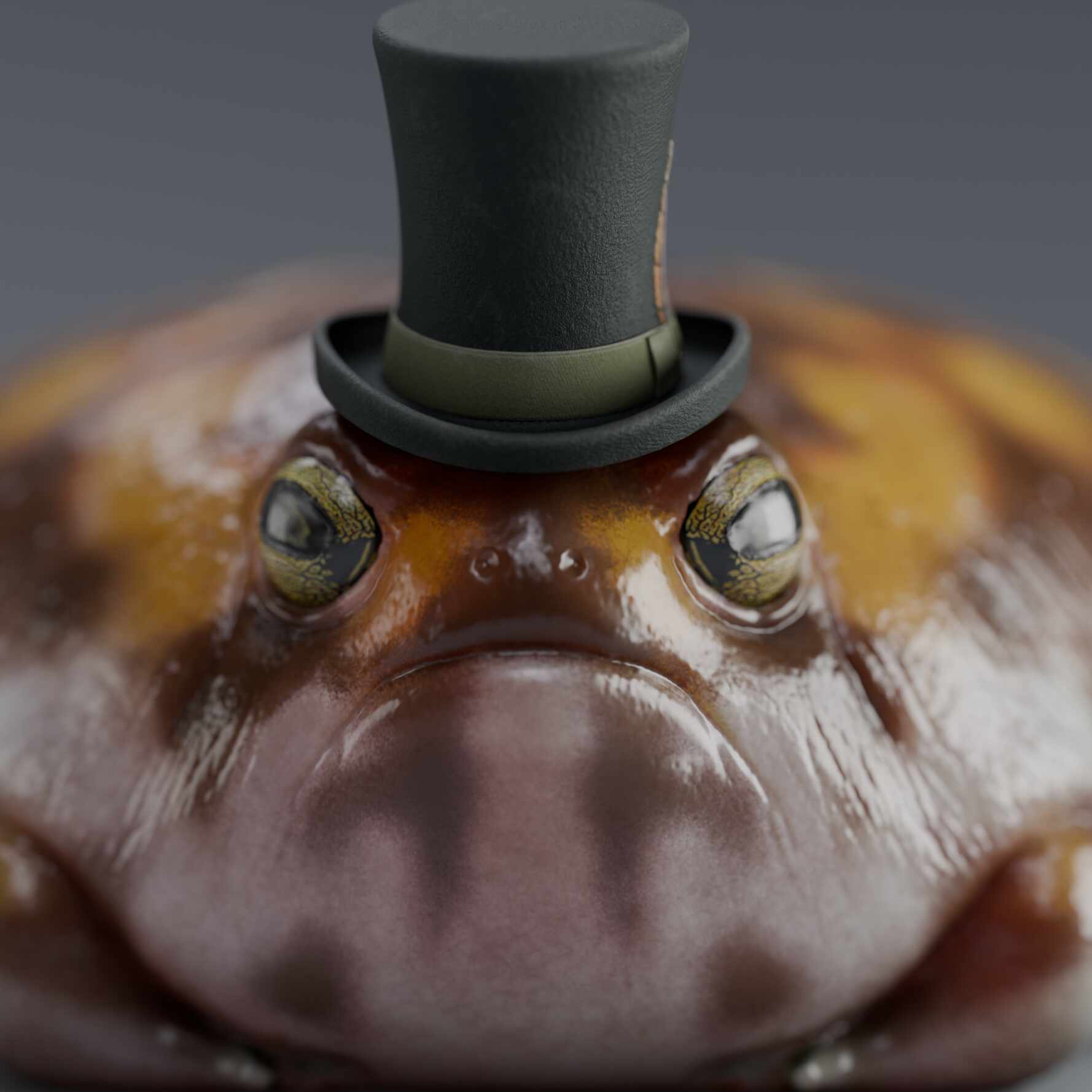 Japanese rain frog - ZBrushCentral