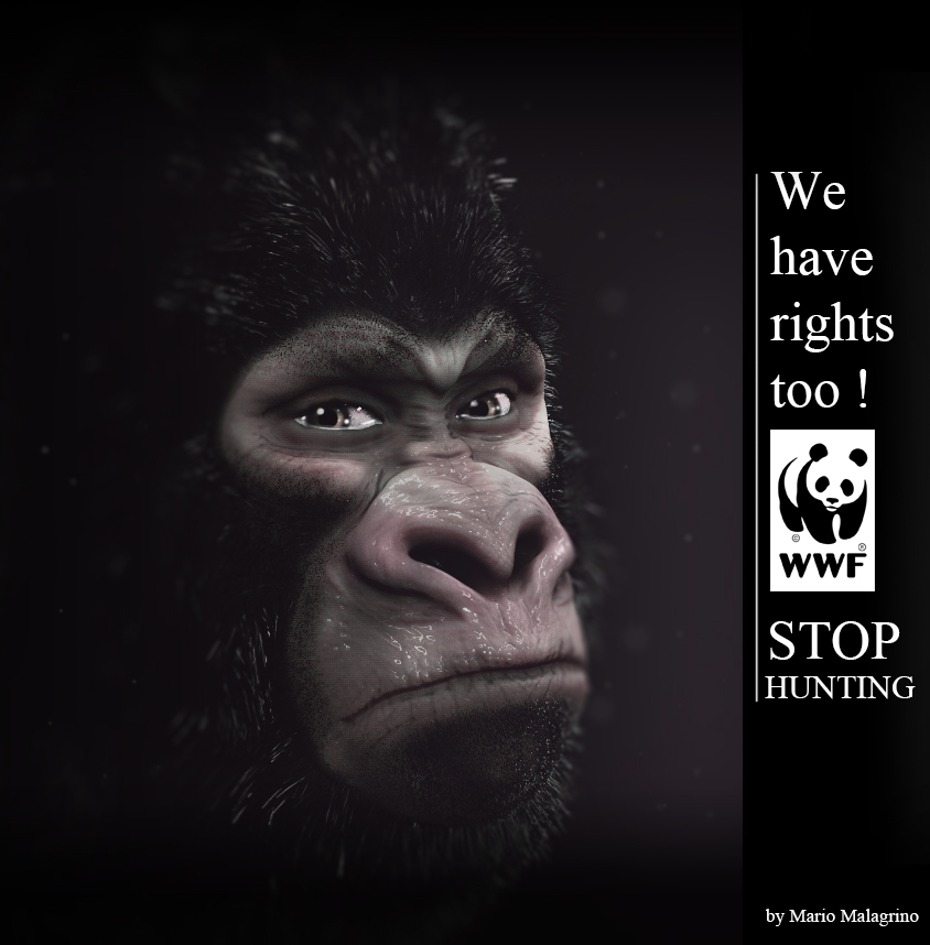 new stuff :) - ZBrushCentral