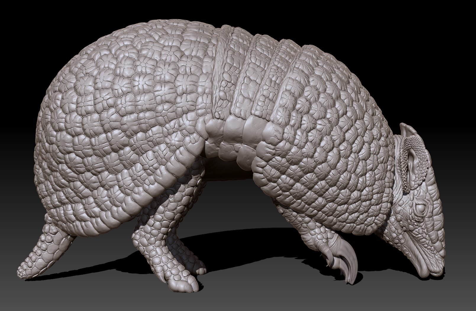 Brazilian Three-Banded Armadillo - ZBrushCentral