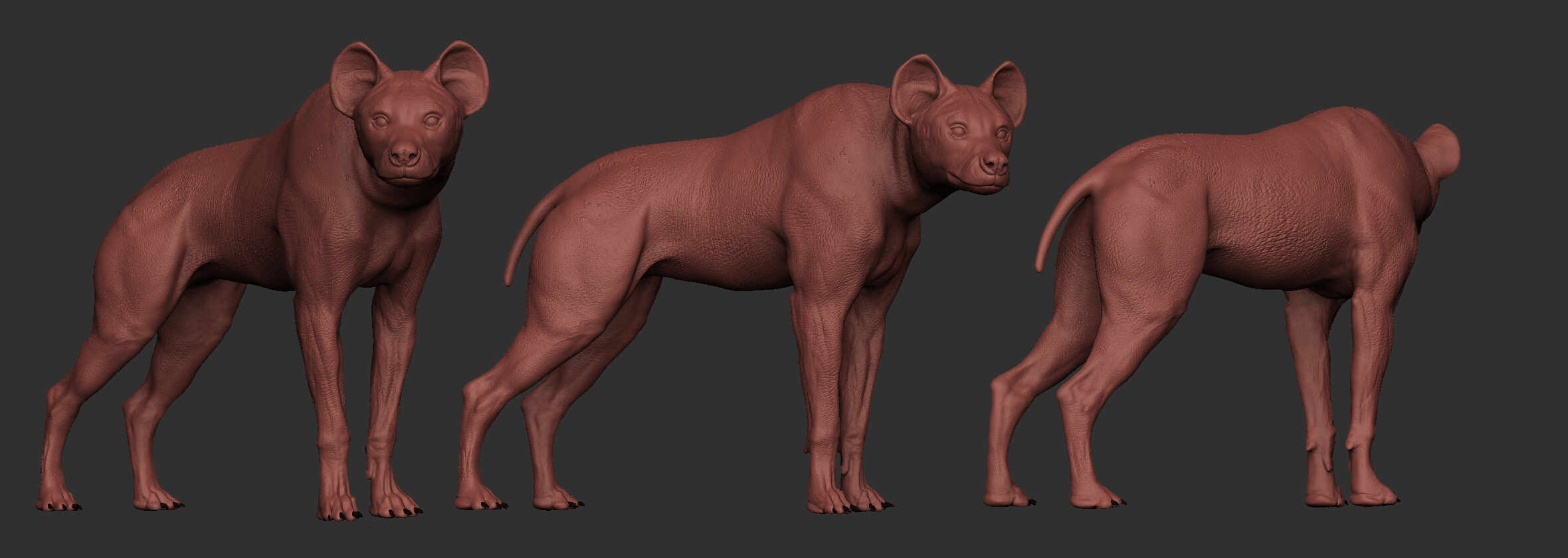 Spotted Hyena - ZBrushCentral