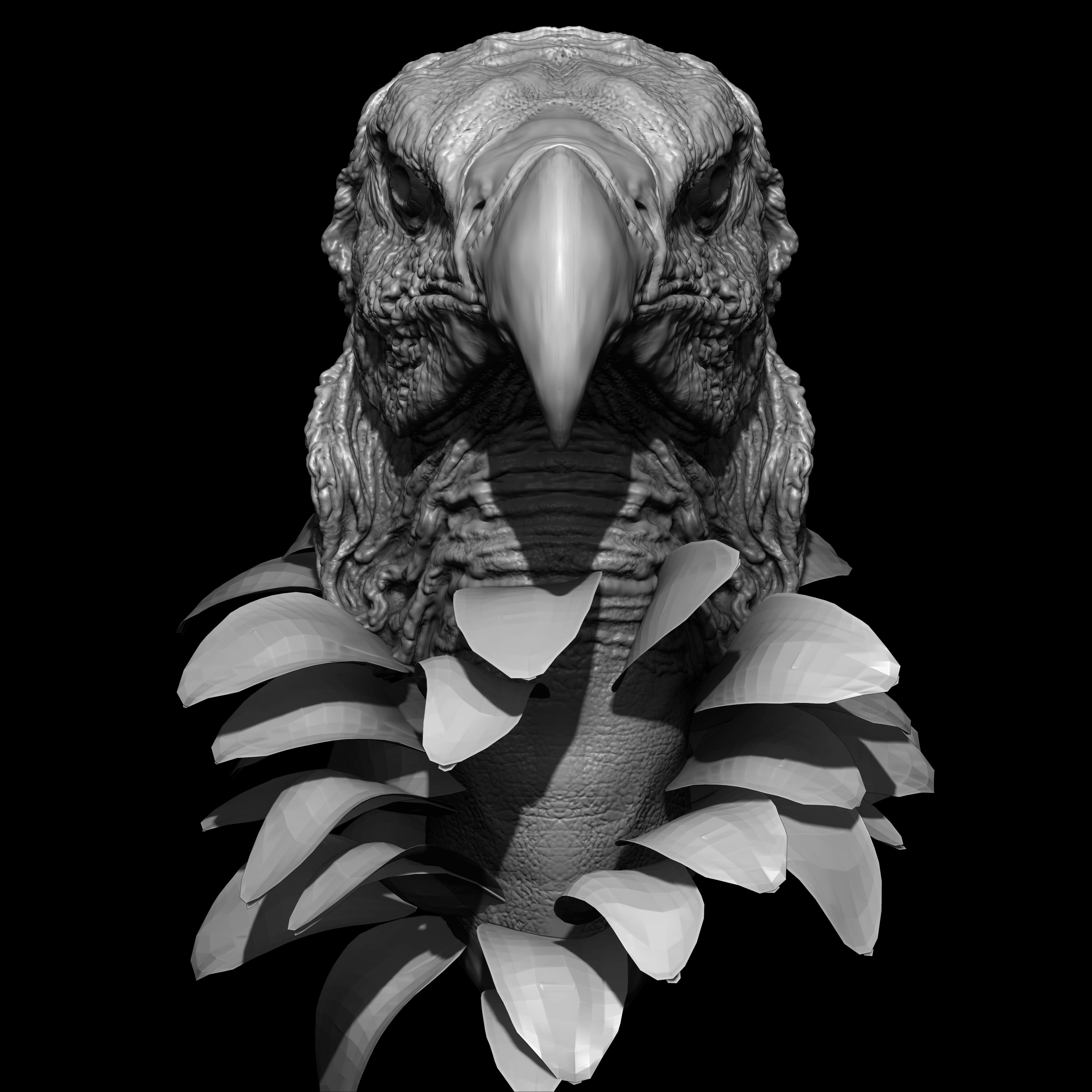 Lappet-Faced Vulture - ZBrushCentral
