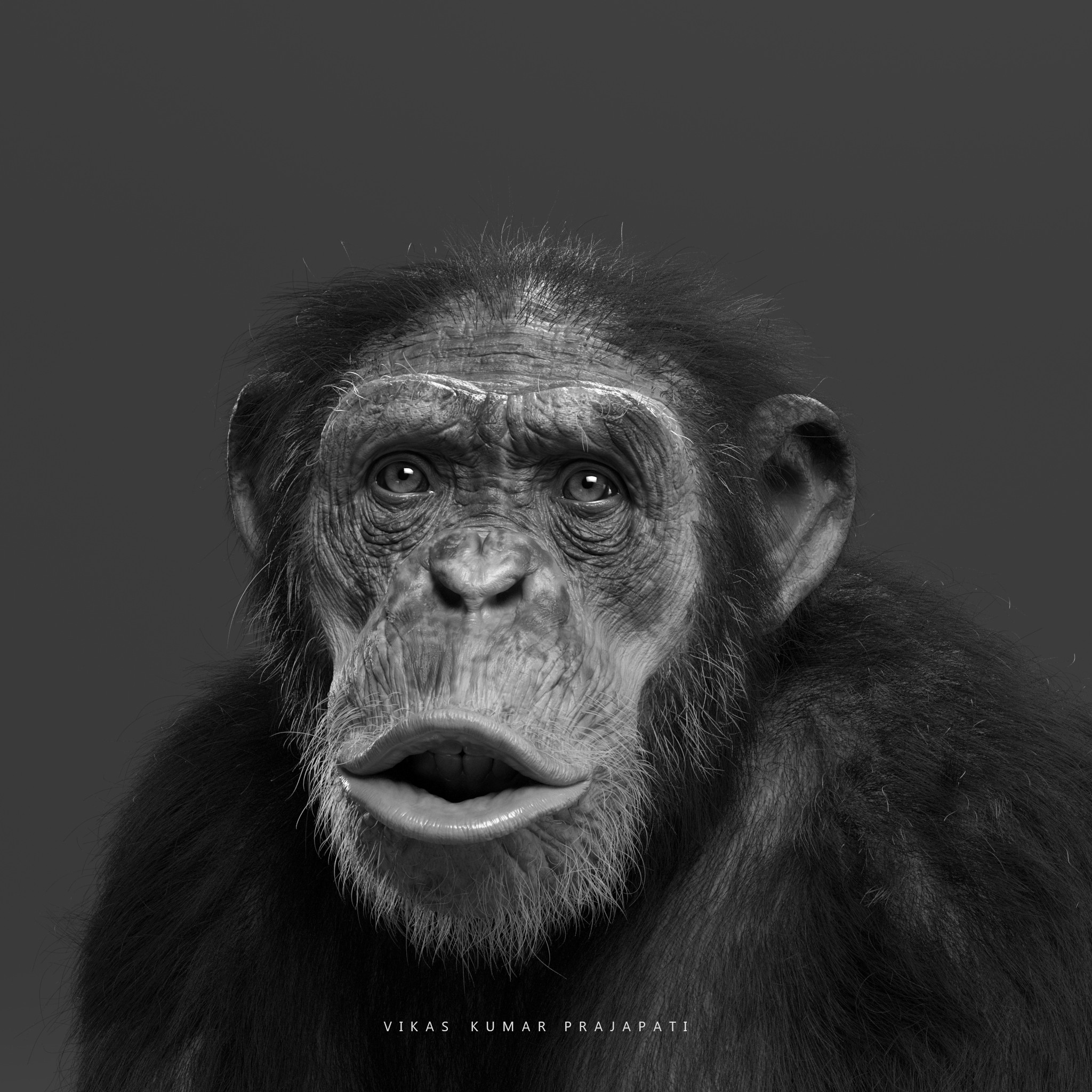 Chimp "Patrick" - ZBrushCentral