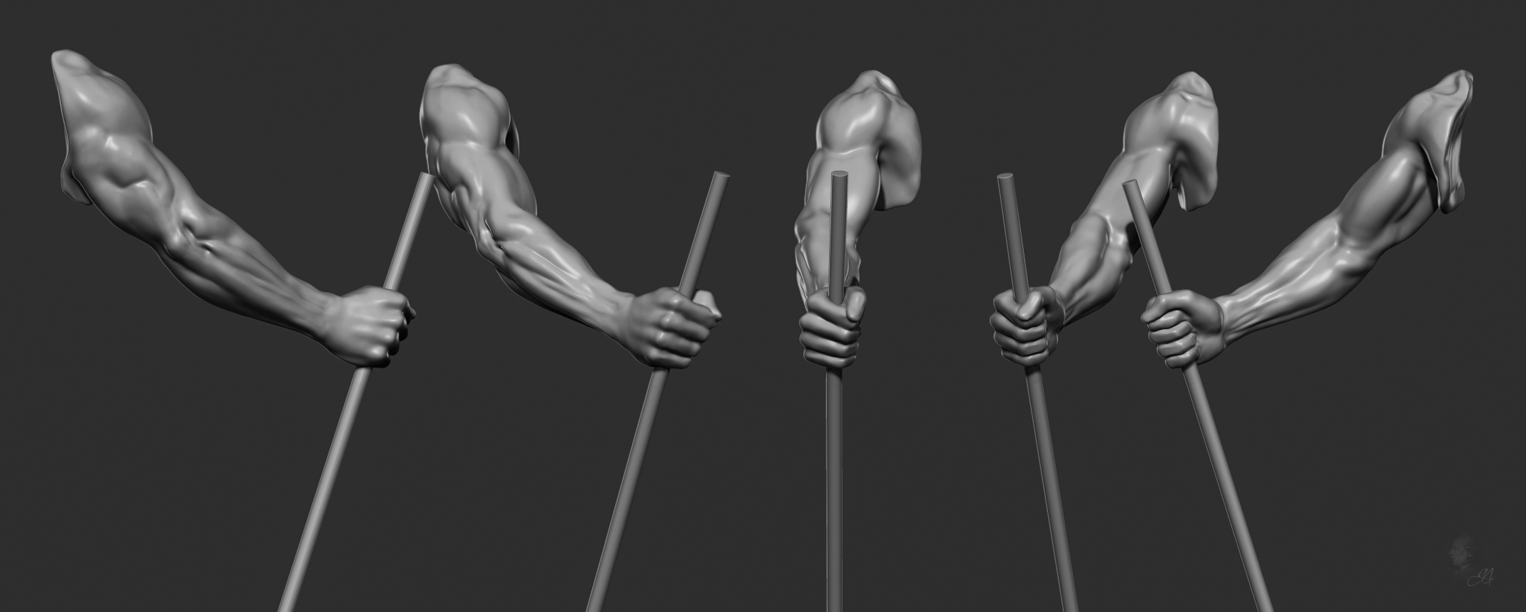 Anatomy Study ... - ZBrushCentral