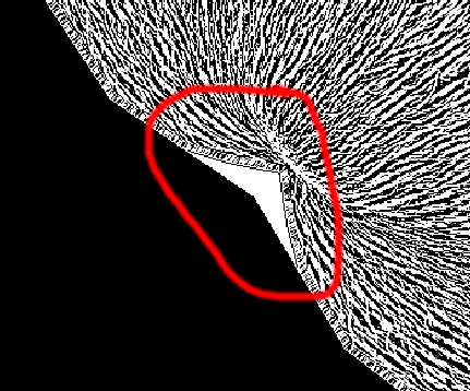 ZBrush, 3ds Max, UV Master workflow problem - ZBrushCentral