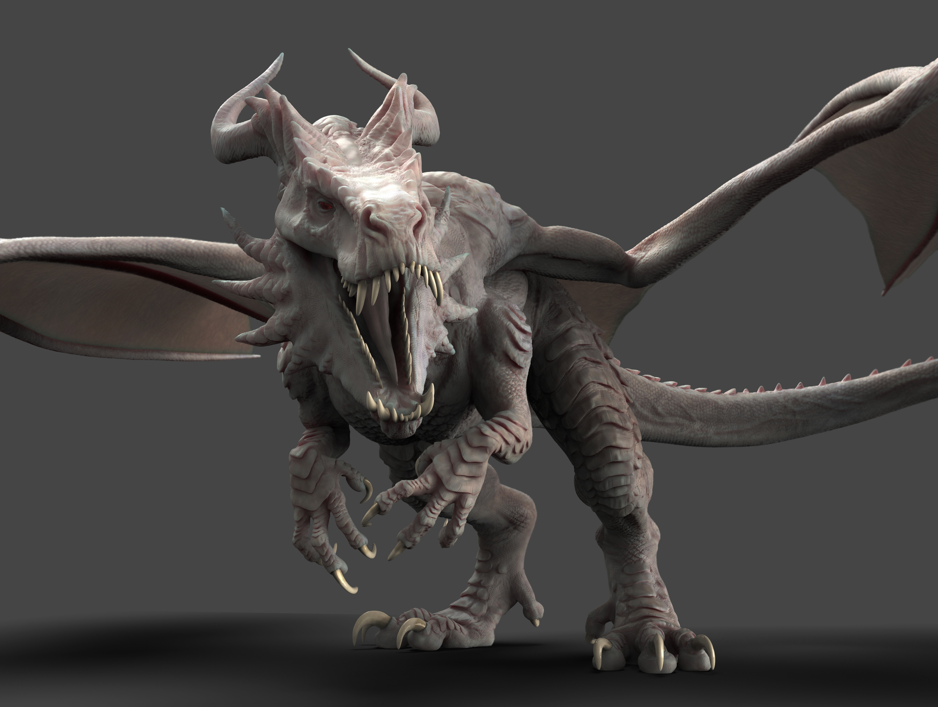 Albino Dragon
